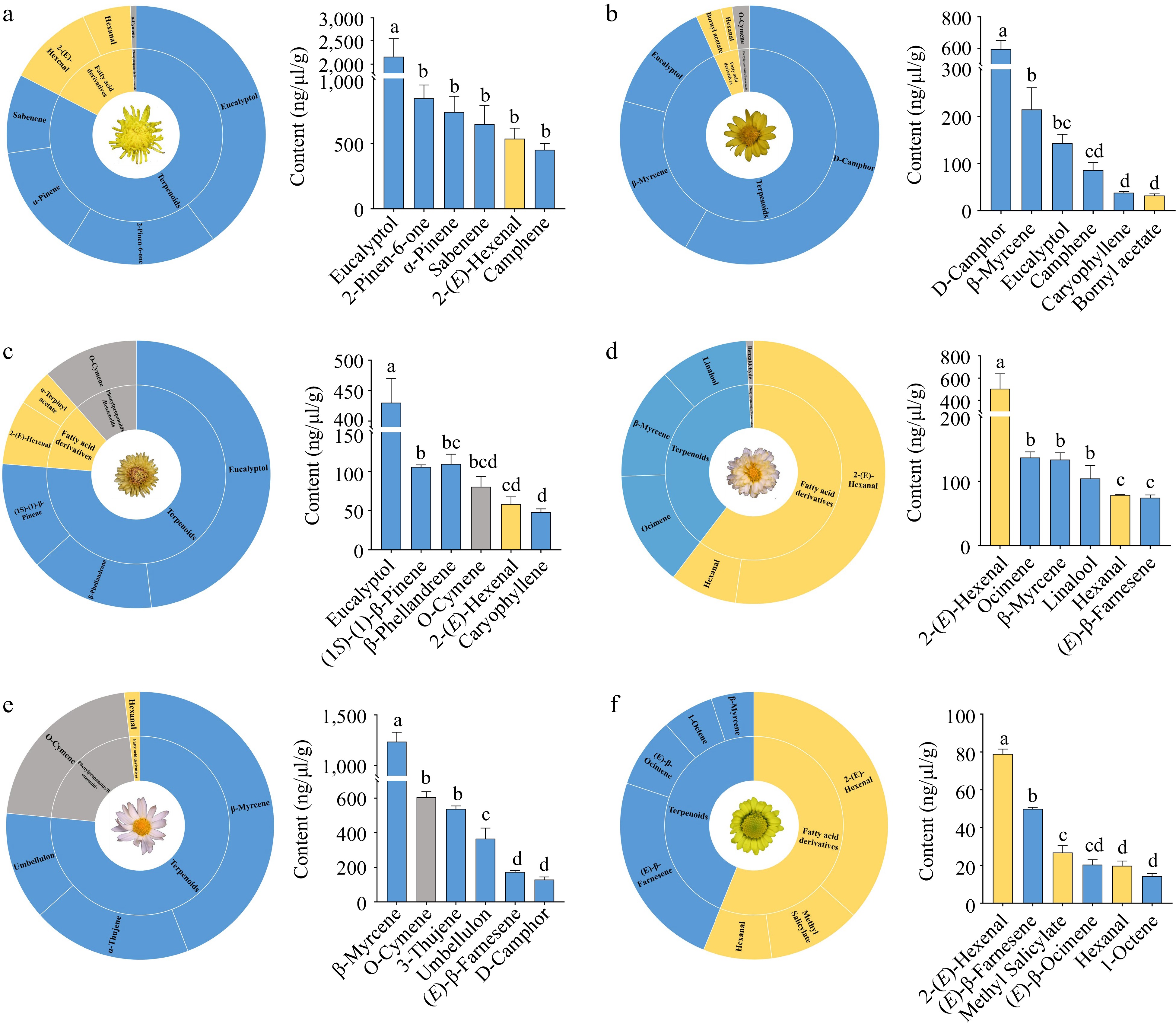 Analysis of fragrance compounds in flowers of C hrysanthemum genus