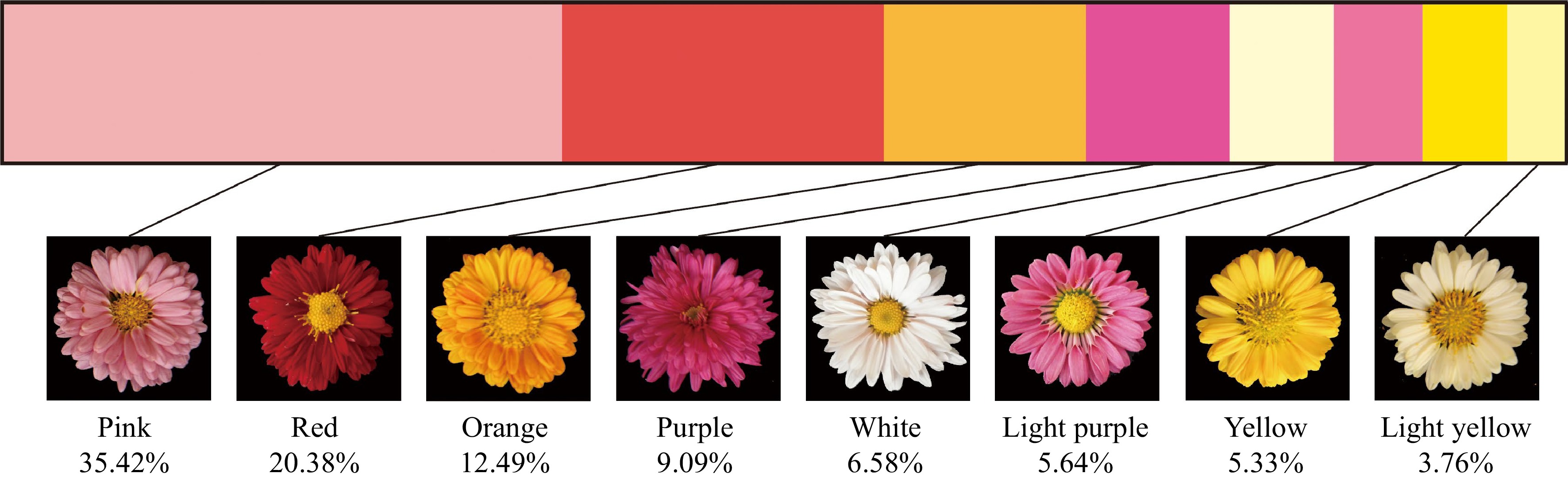 Genetic and QTL analysis of flower color and pigments in small-flowered ...