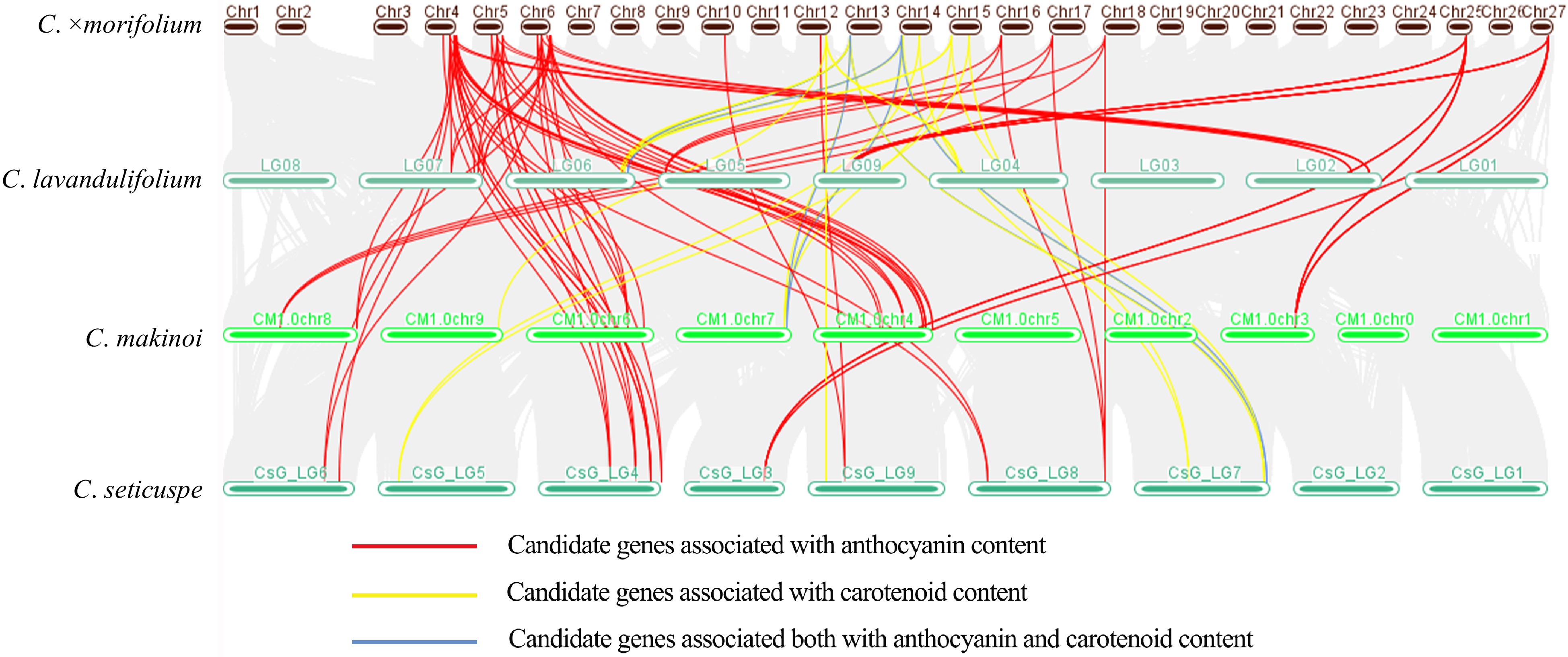 Genetic and QTL analysis of flower color and pigments in small-flowered ...