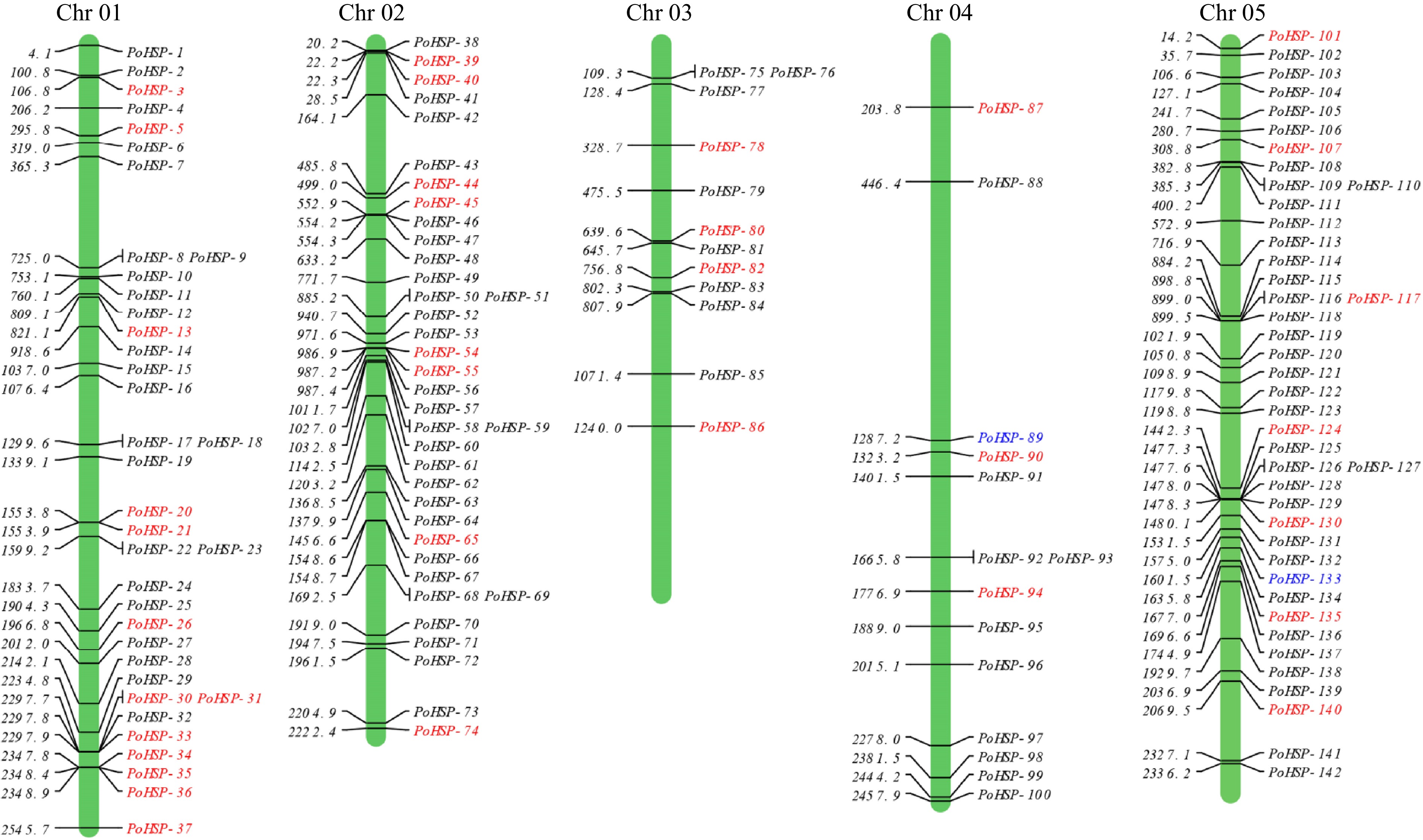 Integration of genome-wide identification, transcriptome and ...
