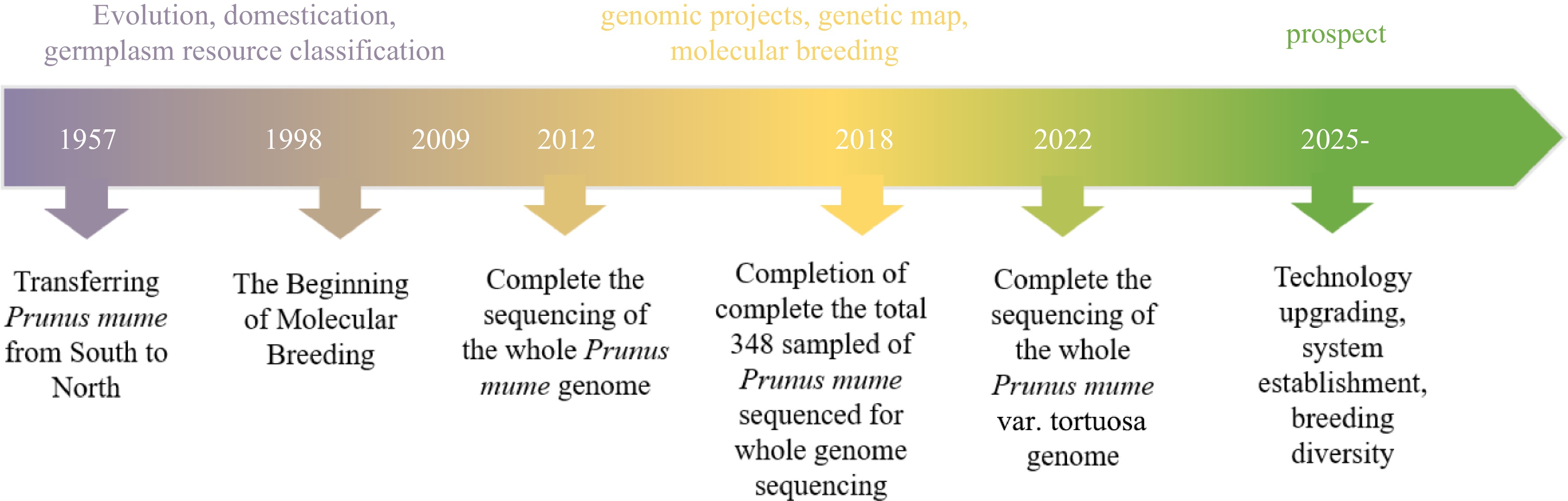 Prunus mume genome research current status and prospects