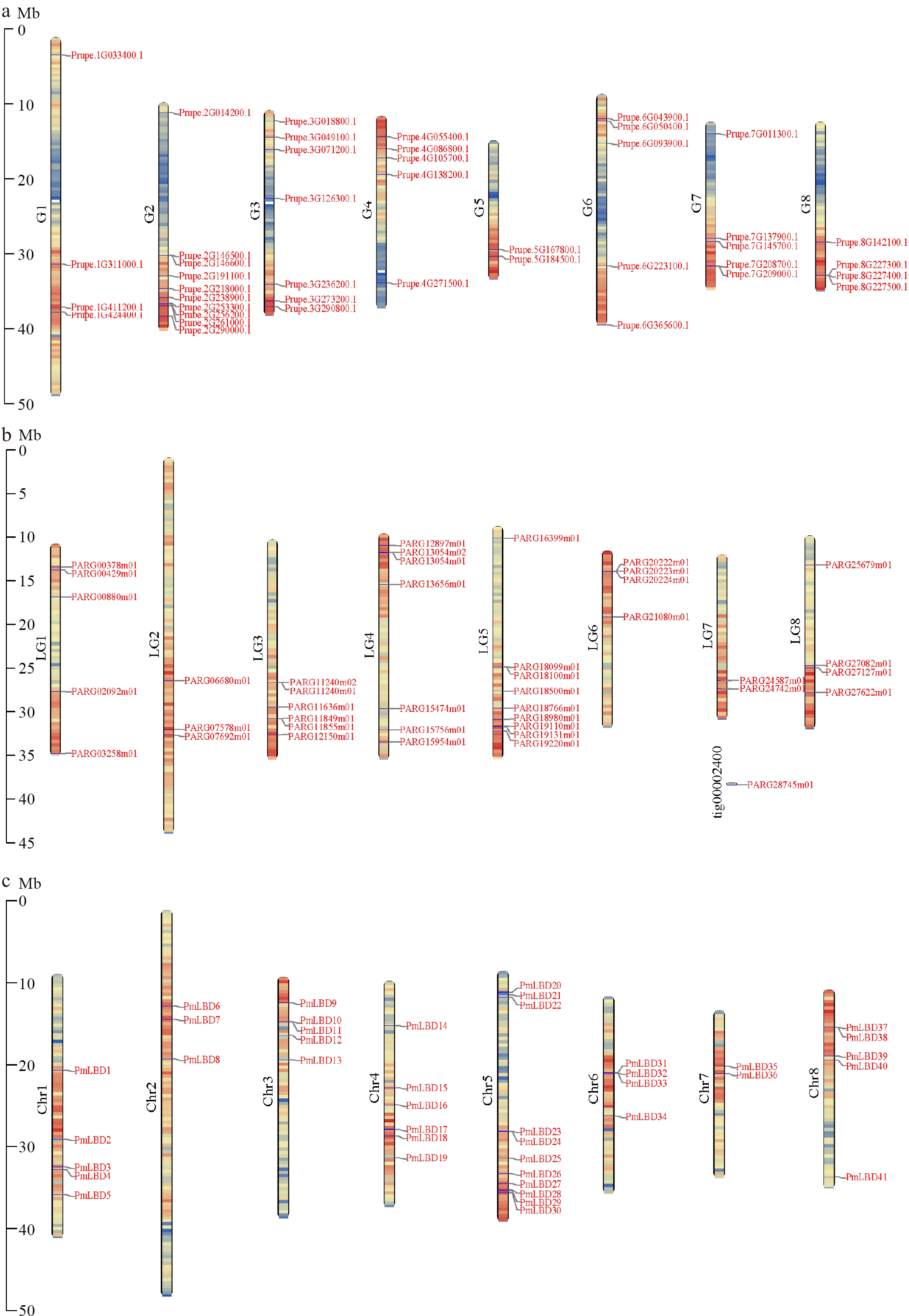 Genome-wide identification and characterization of the Lateral Organ ...