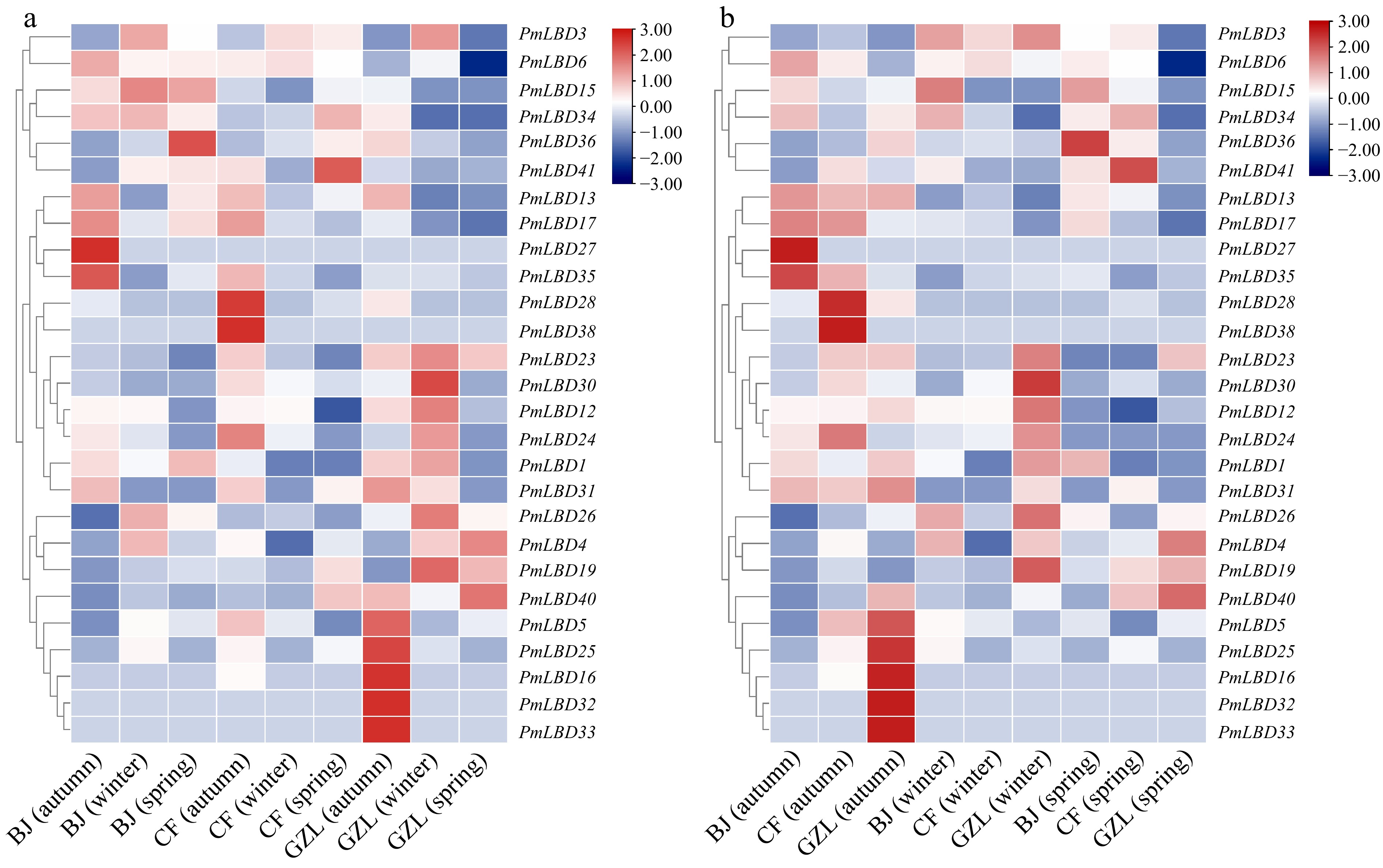 Genome-wide identification and characterization of the Lateral Organ ...