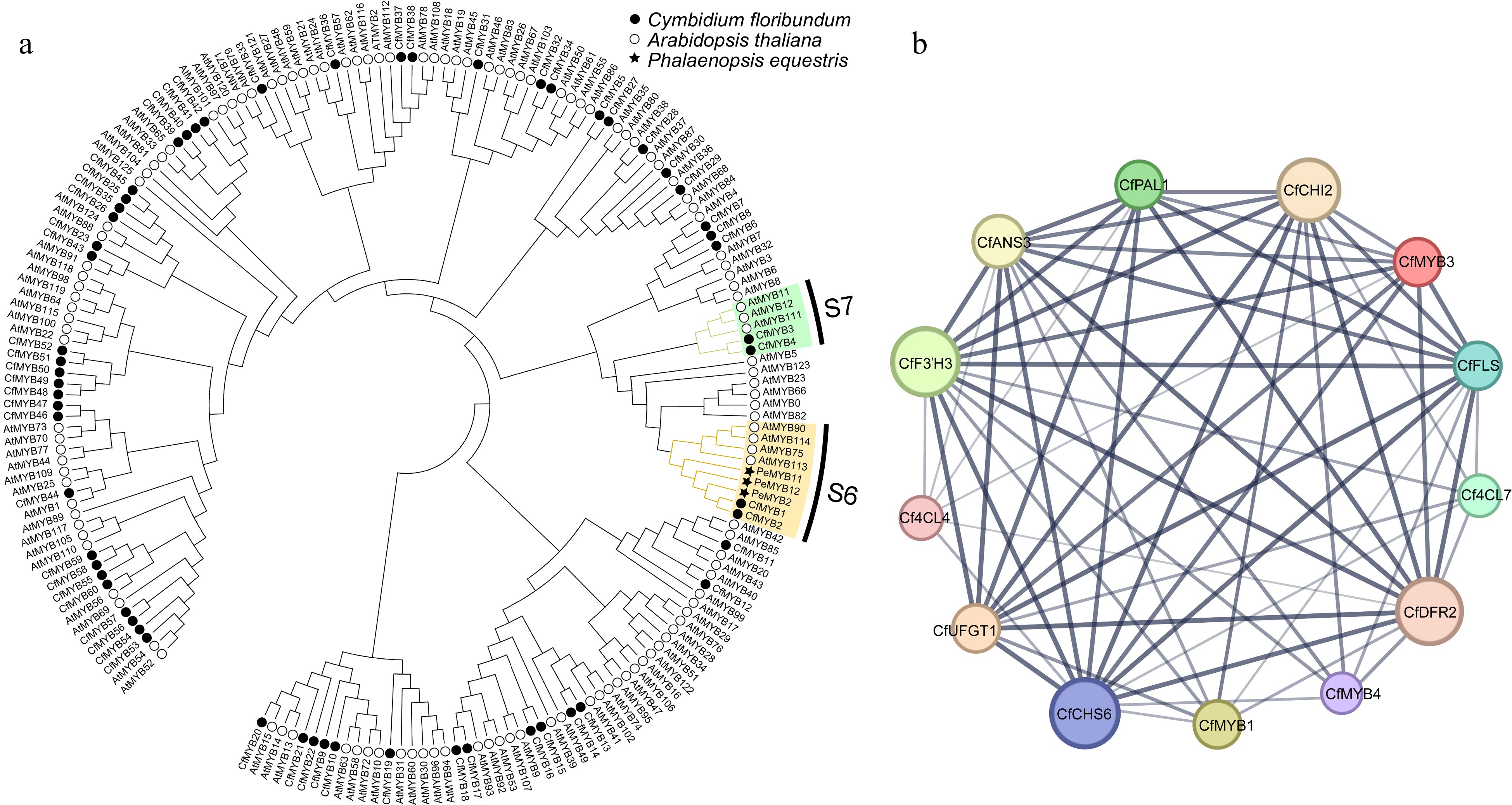 Transcriptome and metabolome analysis reveal the lip color variation in ...