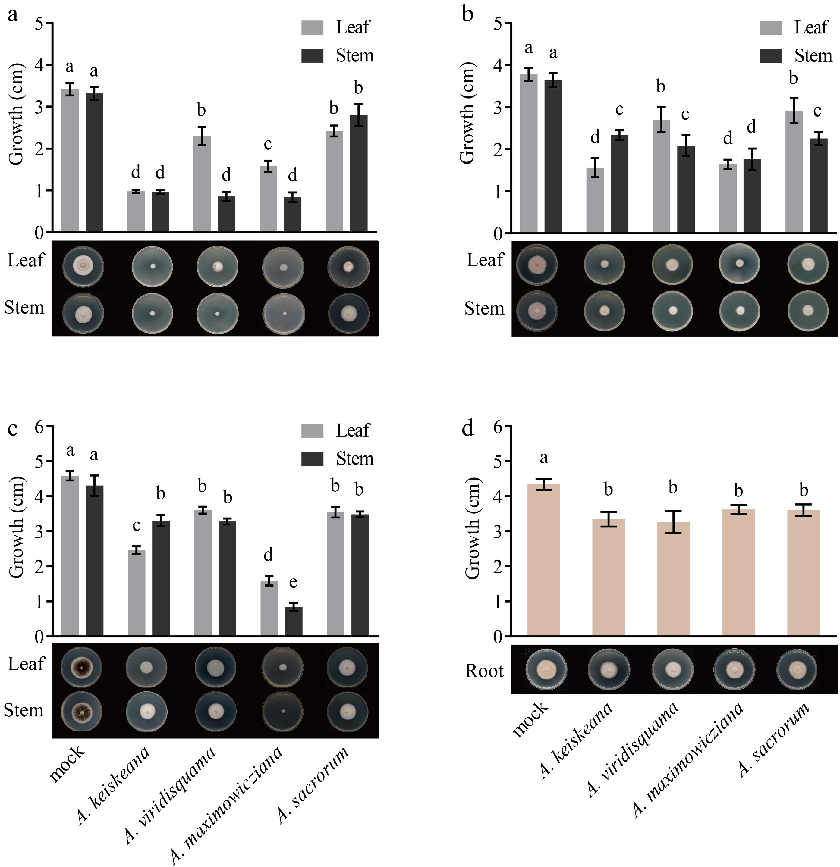 Bioactive components and antimicrobial potential of extracts from ...