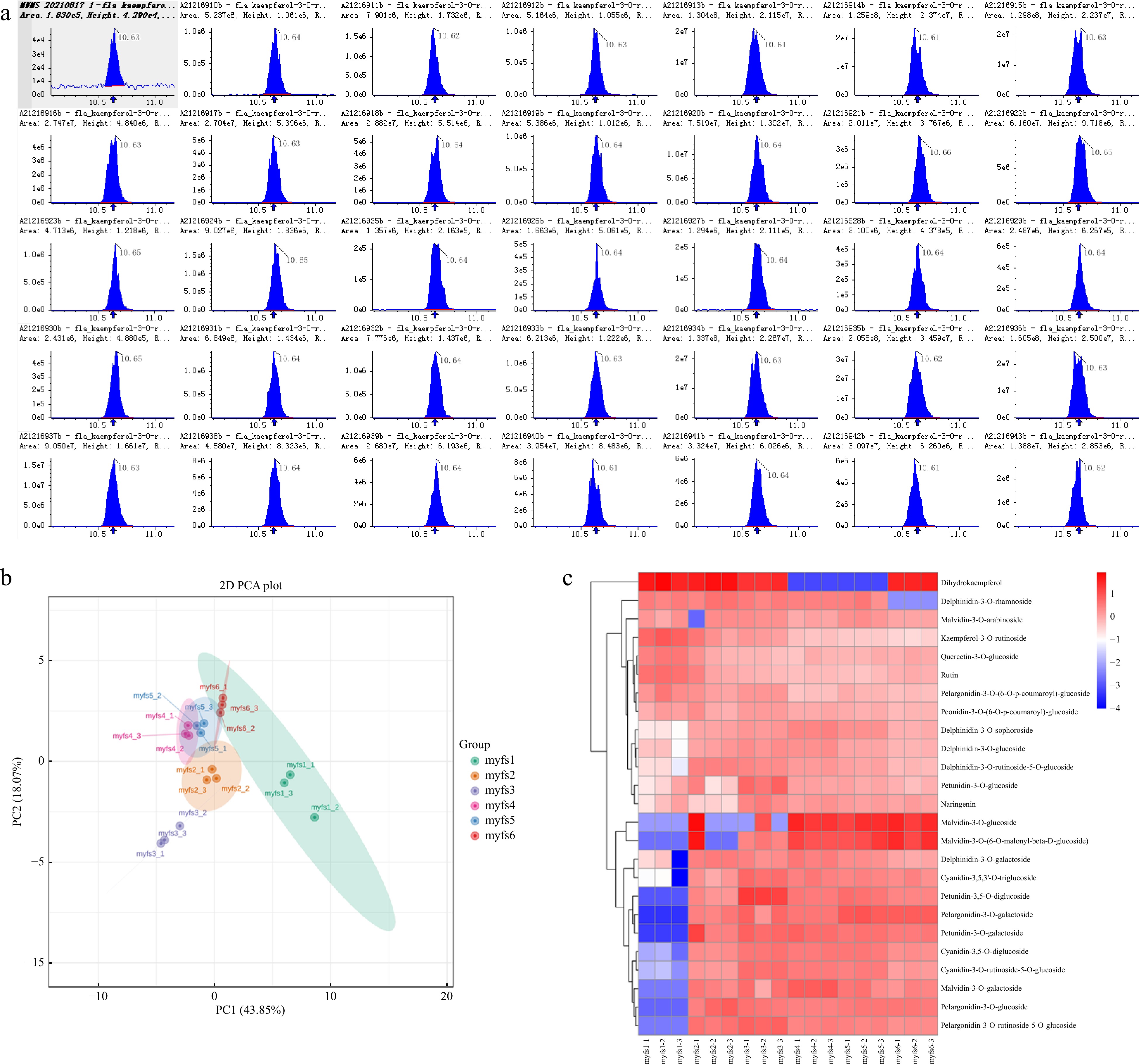 Targeted metabolome and transcriptome analysis reveals the key ...
