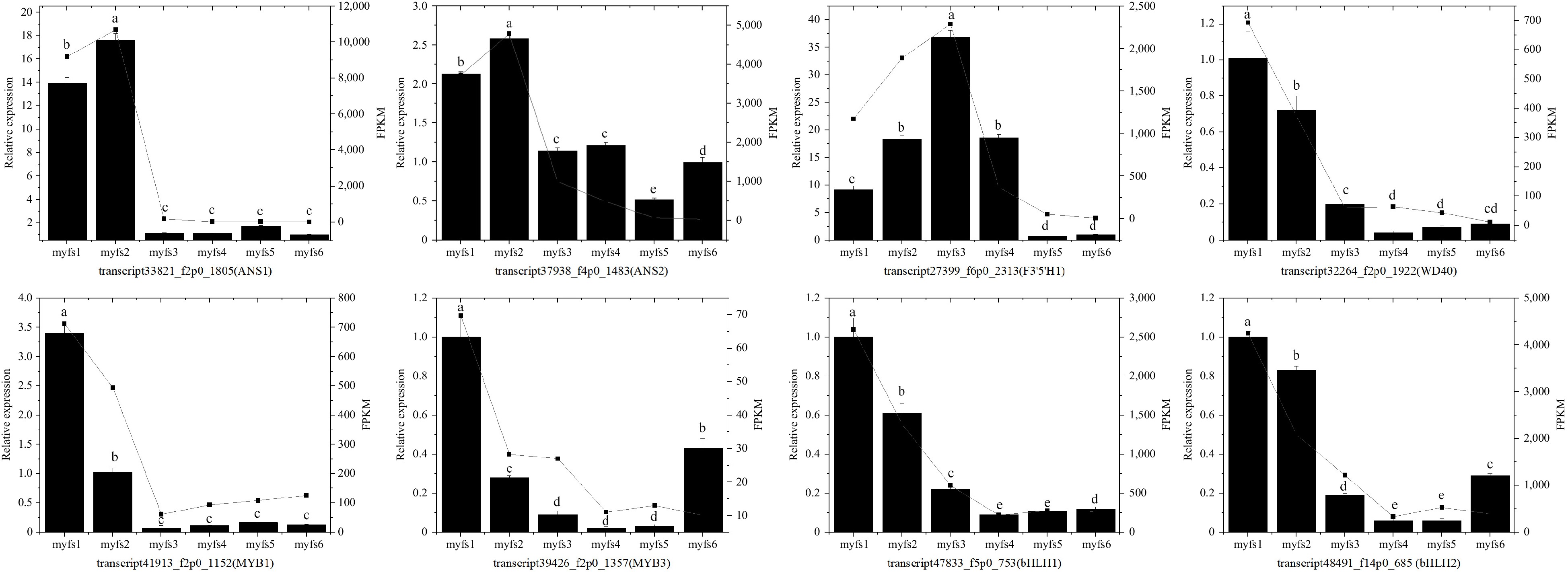 Targeted metabolome and transcriptome analysis reveals the key ...