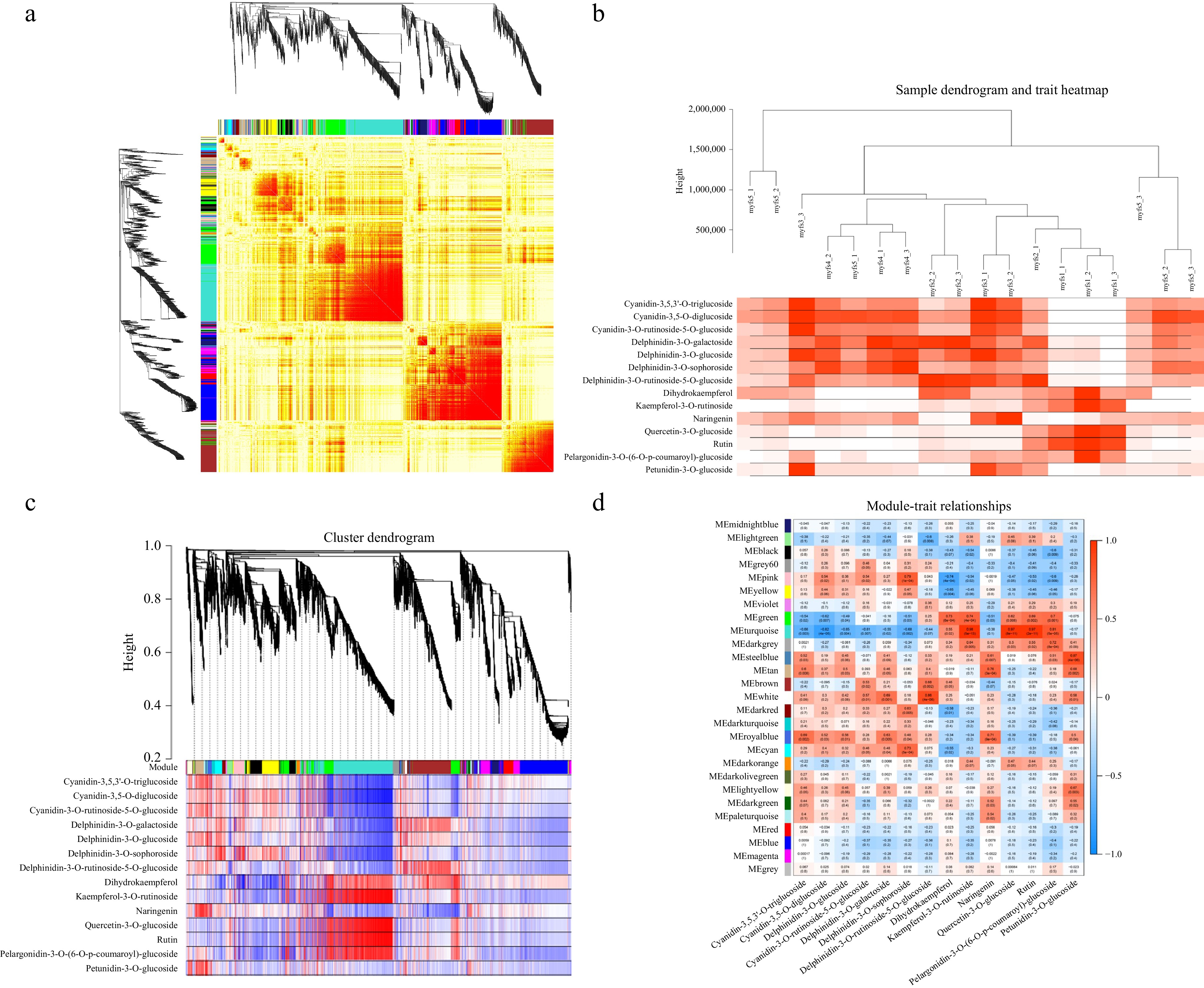Targeted metabolome and transcriptome analysis reveals the key ...