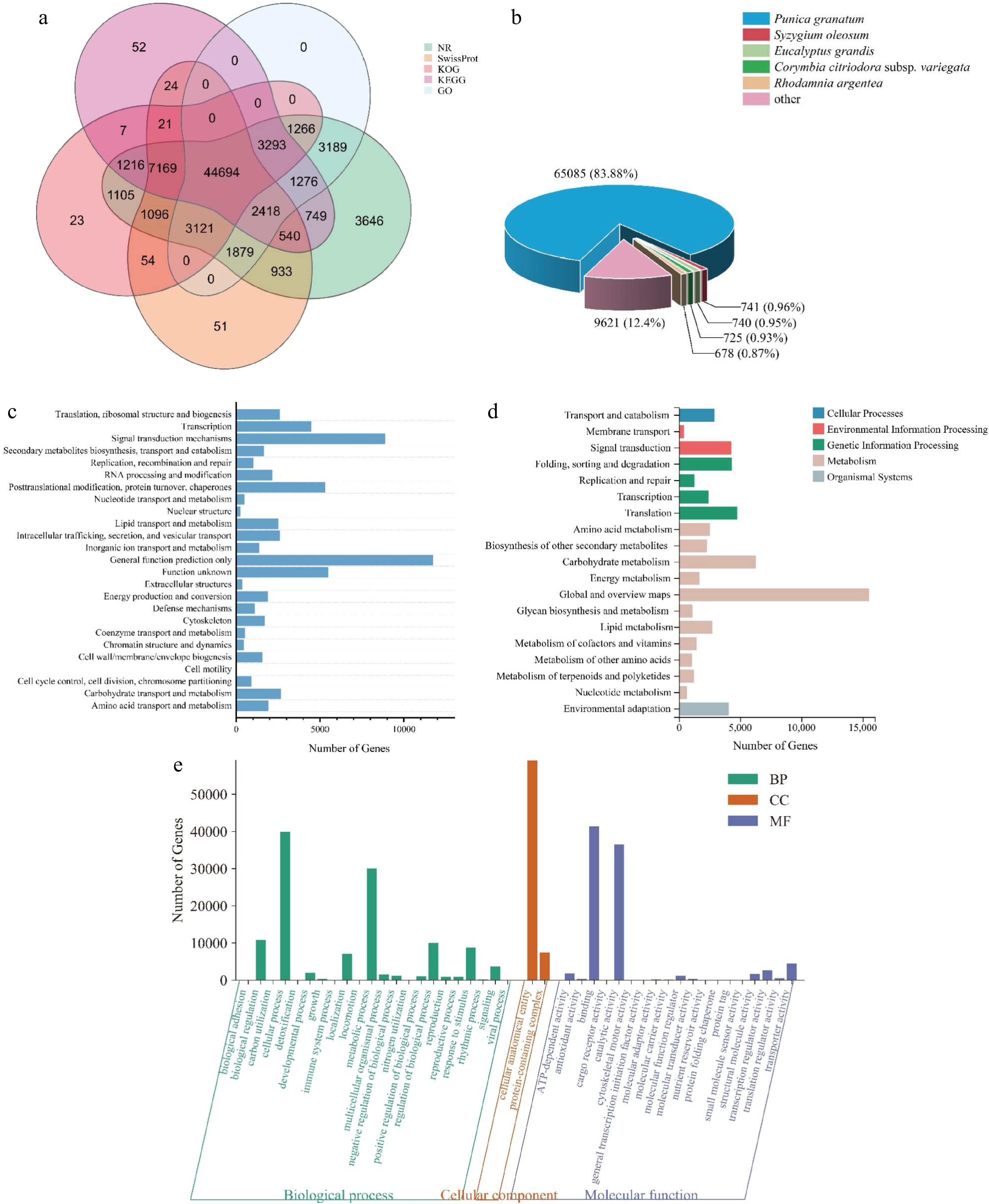 Deciphering the genetic basis of flower opening in Lagerstroemia indica ...