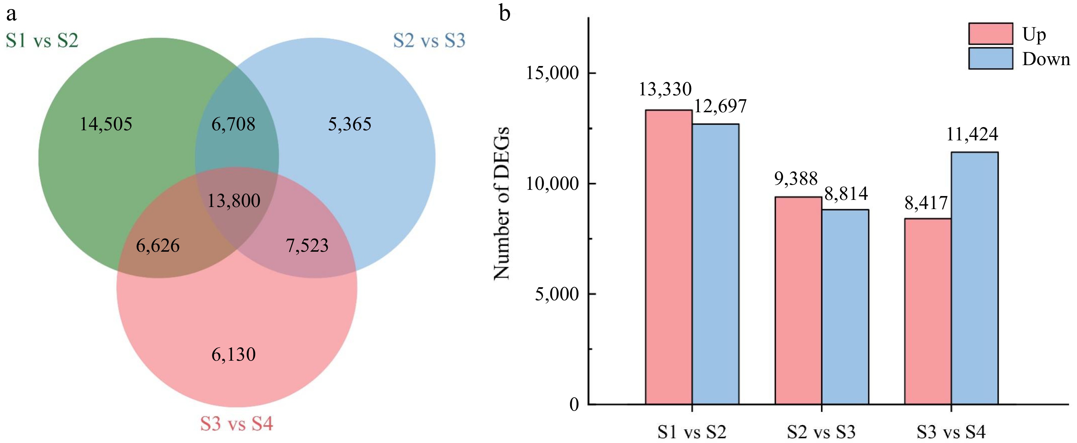 Deciphering the genetic basis of flower opening in Lagerstroemia indica ...
