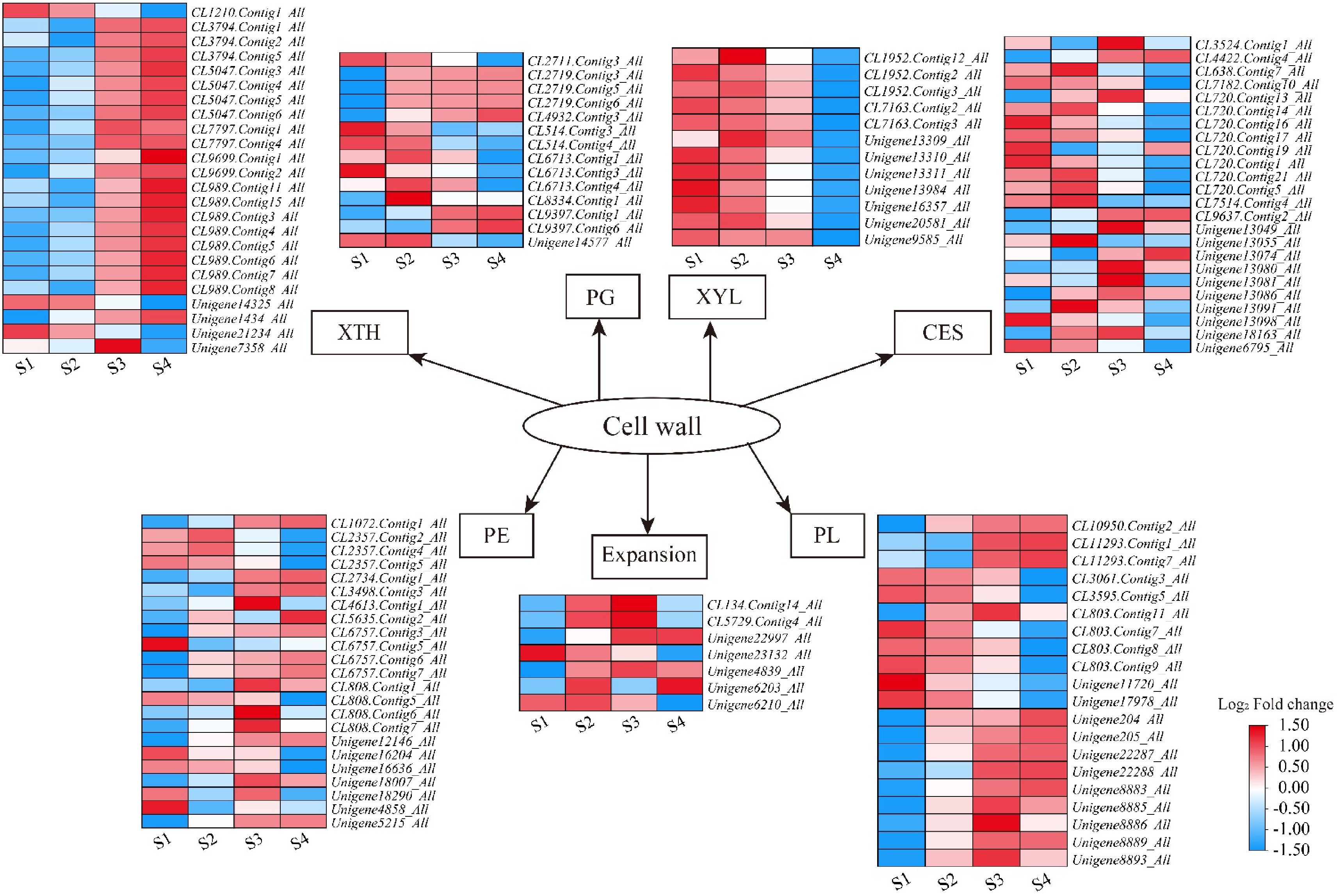 Deciphering the genetic basis of flower opening in Lagerstroemia indica ...