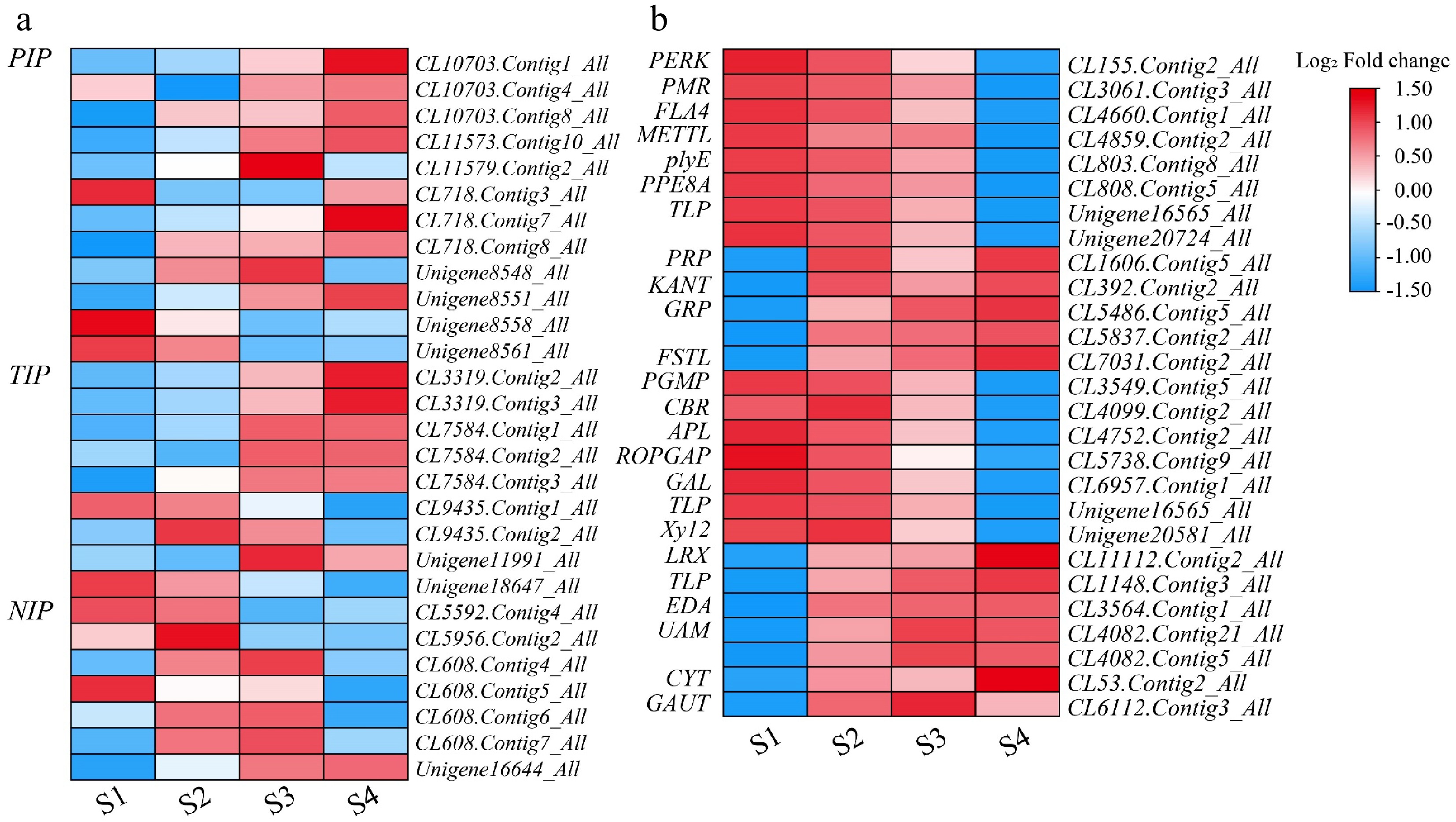 Deciphering the genetic basis of flower opening in Lagerstroemia indica ...