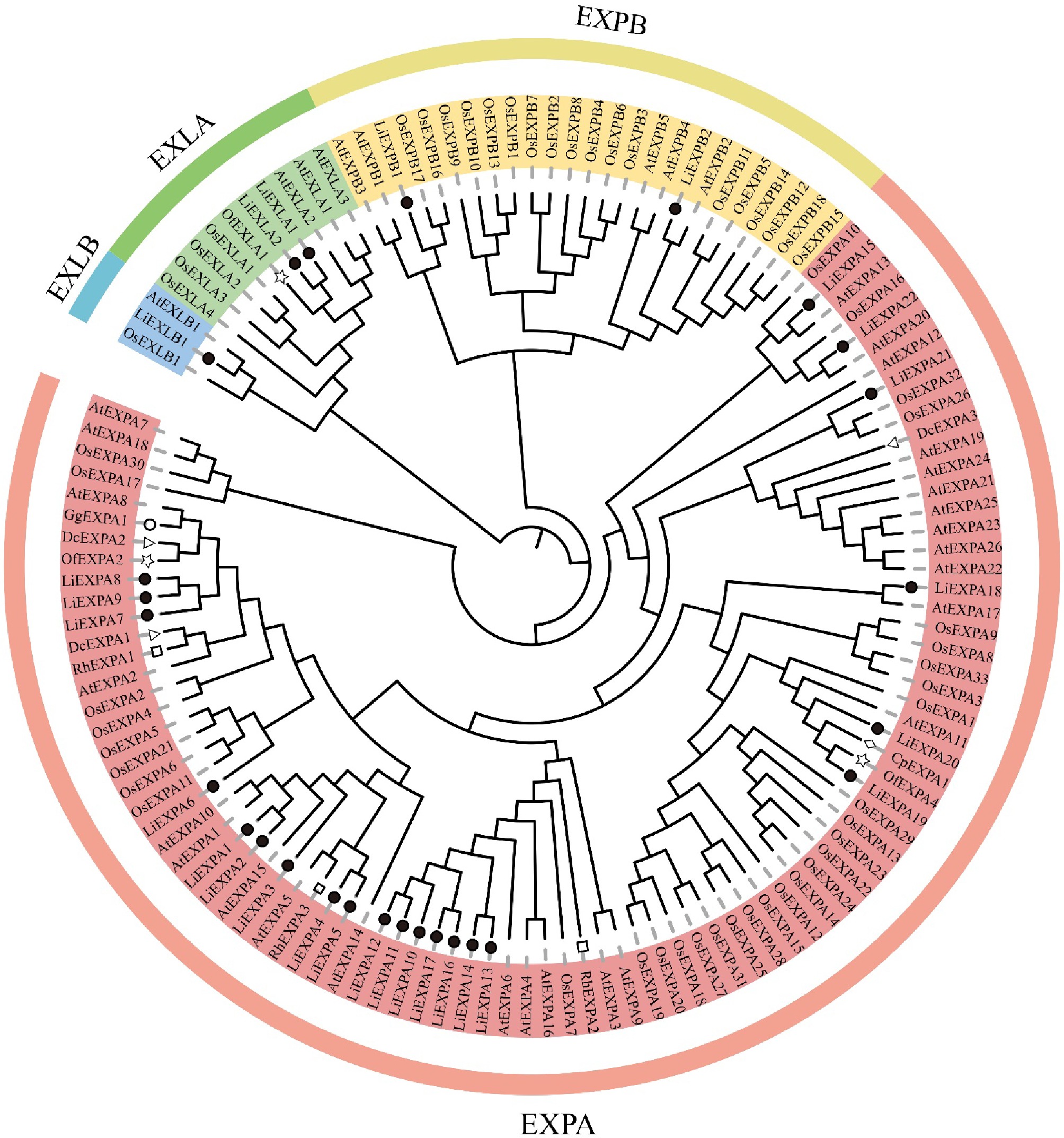 Deciphering the genetic basis of flower opening in Lagerstroemia indica ...
