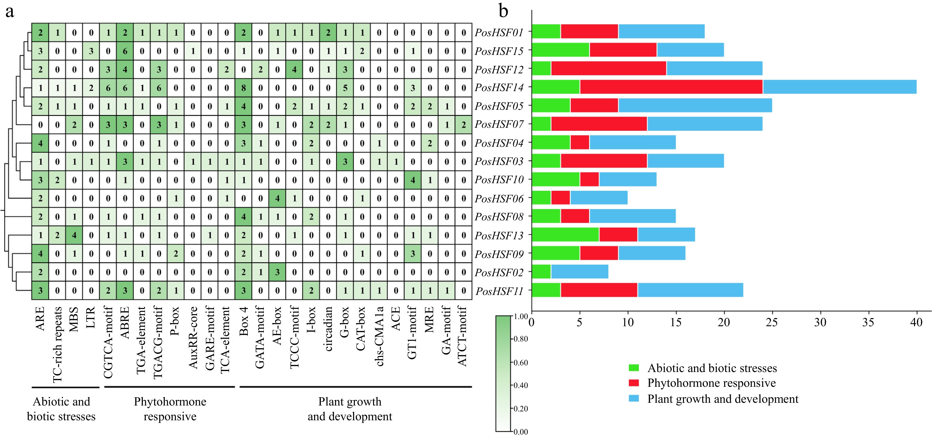 Identification, evolution, and functional characterization of the HSF ...