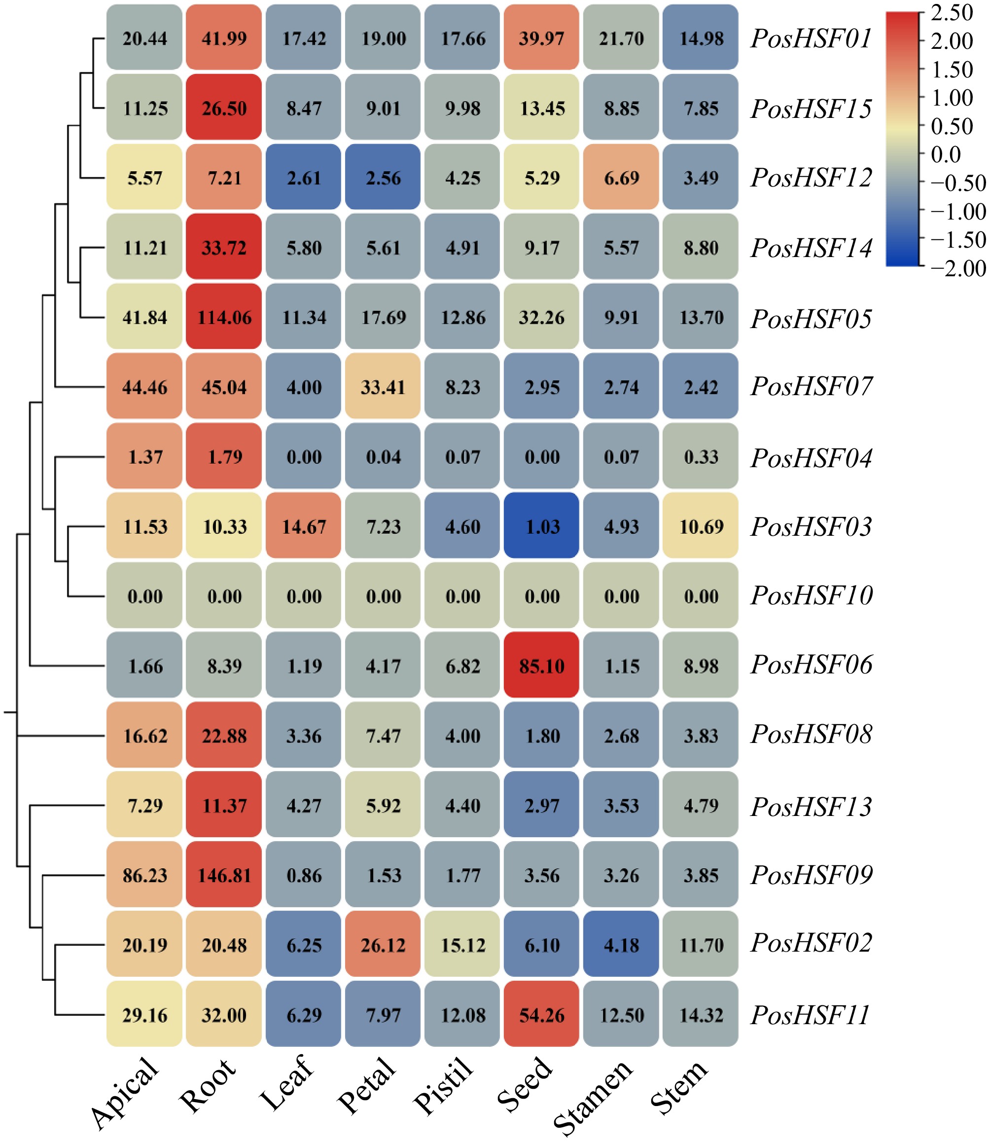 Identification, evolution, and functional characterization of the HSF ...
