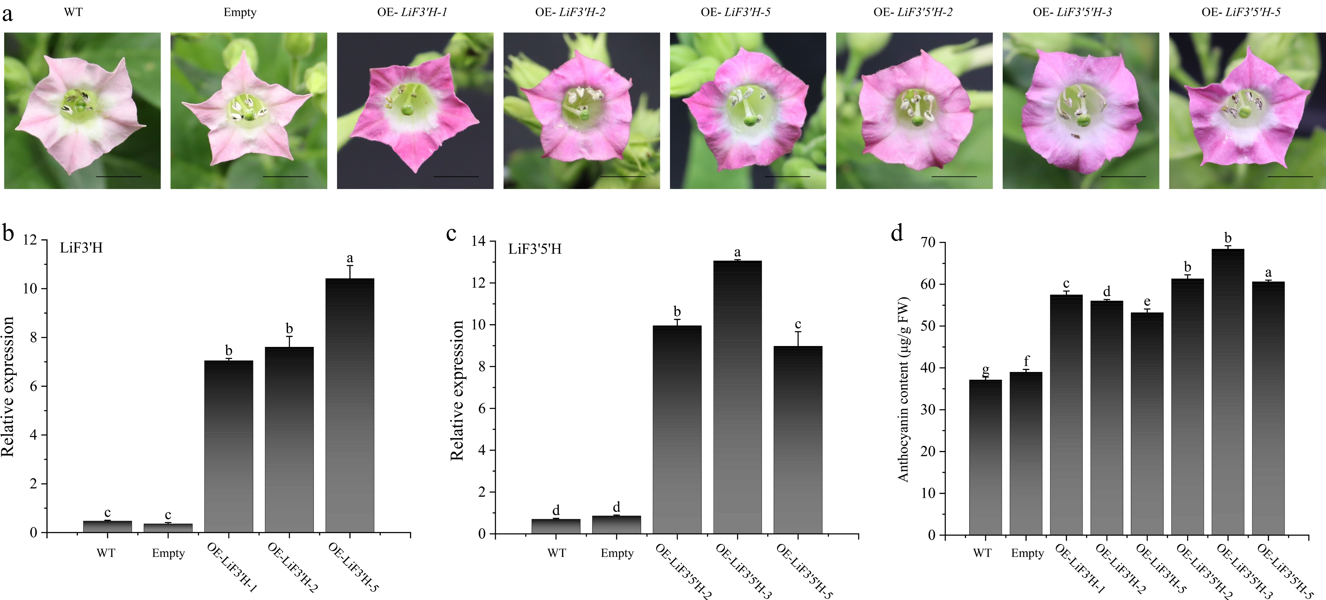 Genome-wide characterization of the CYP450 gene family of Lagerstroemia ...