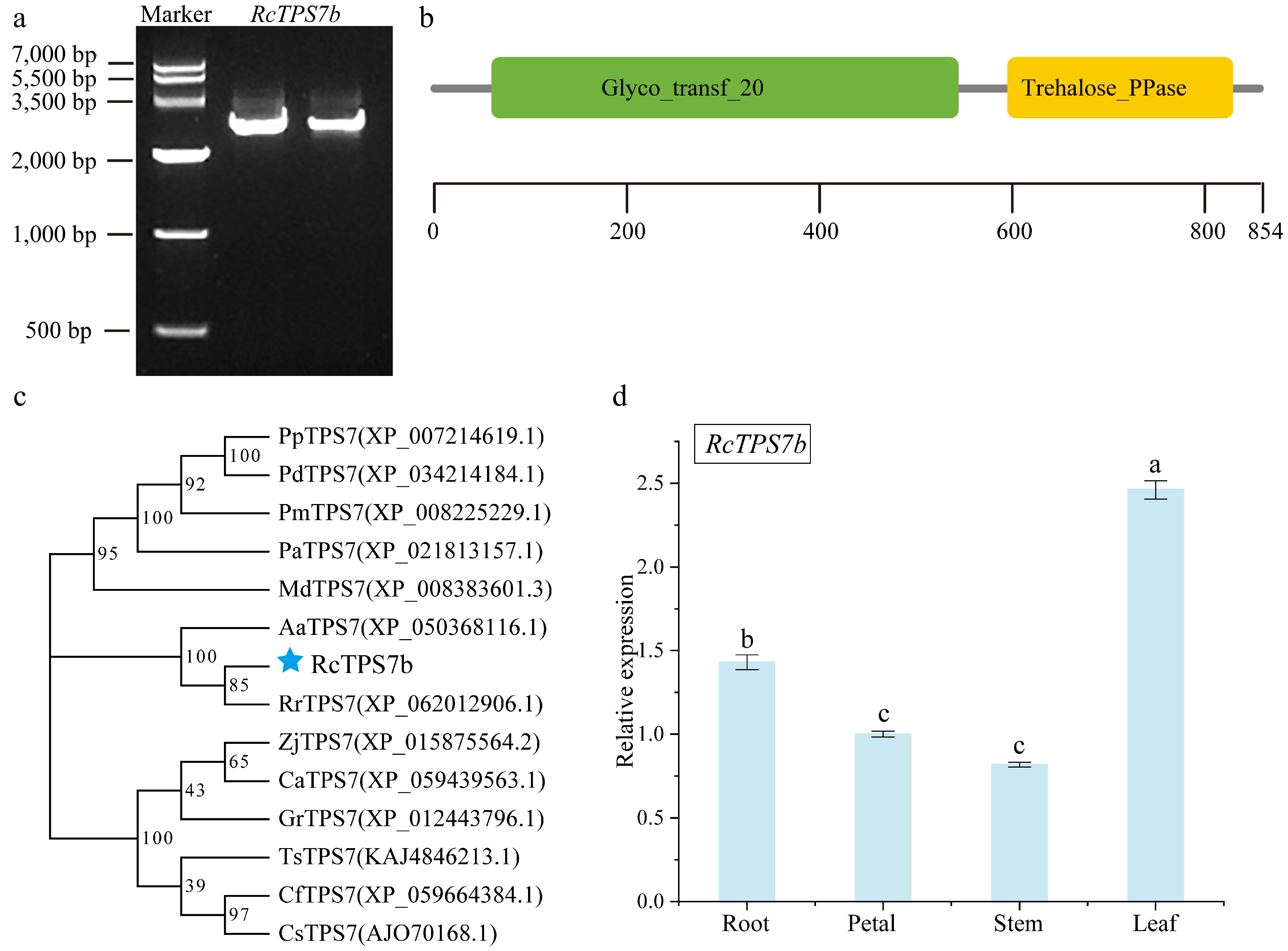 Functional identification of trehalose and a trehalose-6-phosphate ...