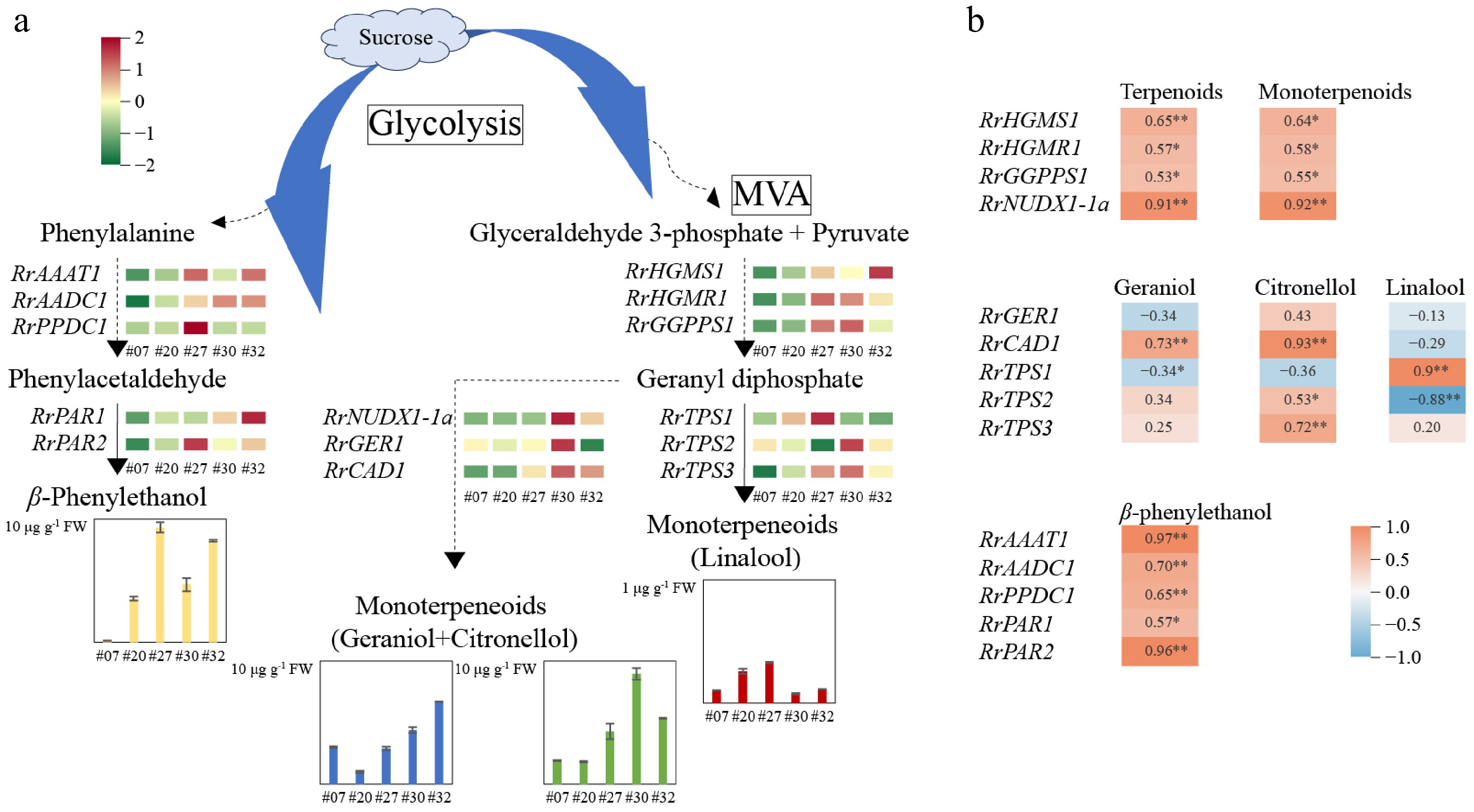 Analysis of volatile organic compound diversity revealed the ...