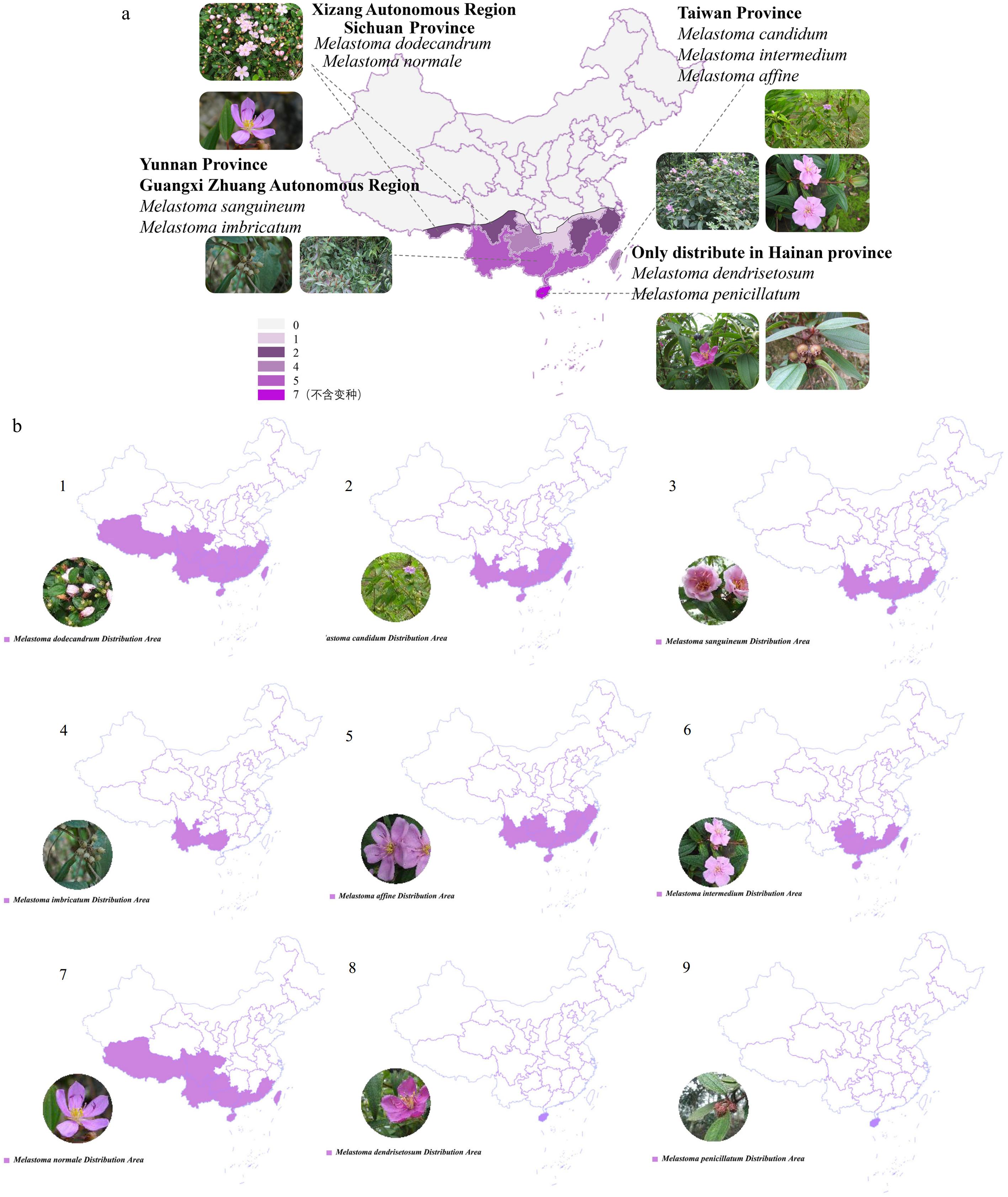 Resource characteristics and genomic advances in Melastoma species ...