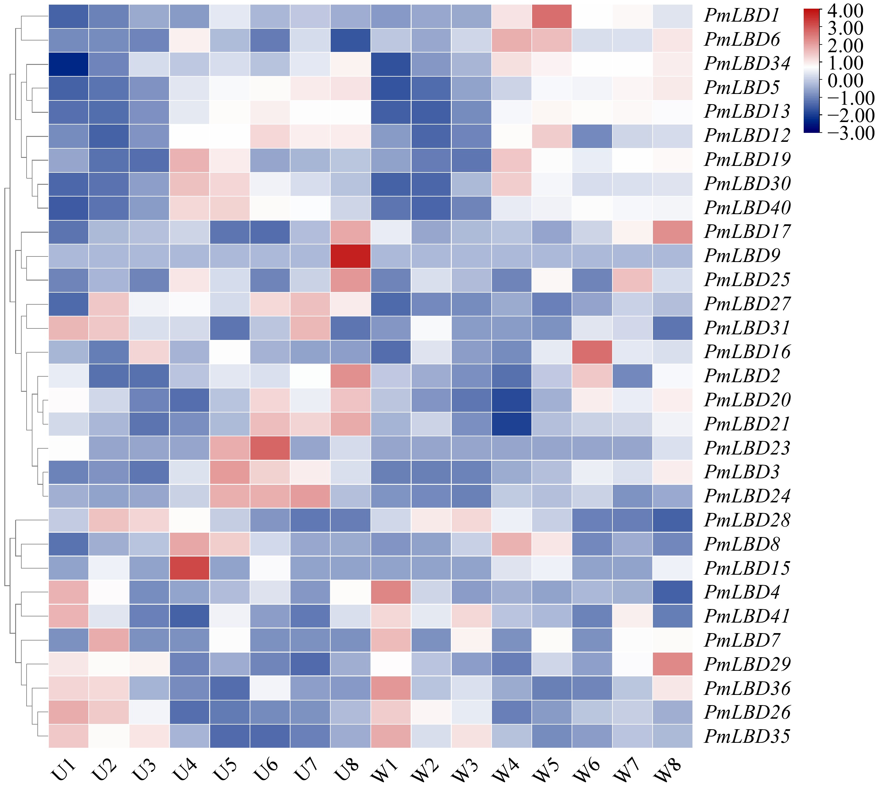 Genome-Wide Identification and Characterization of the Lateral Organ ...