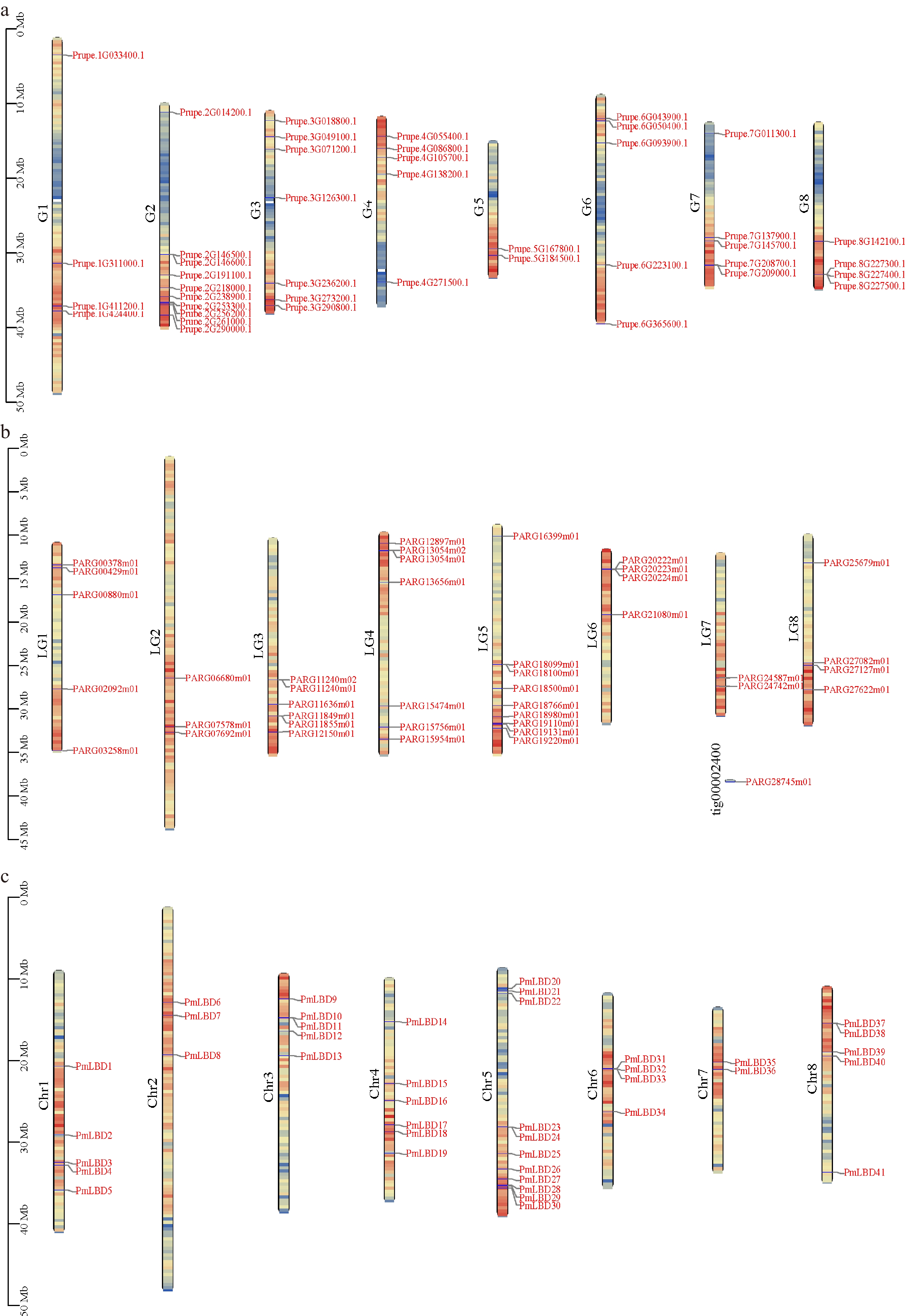 Genome-Wide Identification and Characterization of the Lateral Organ ...