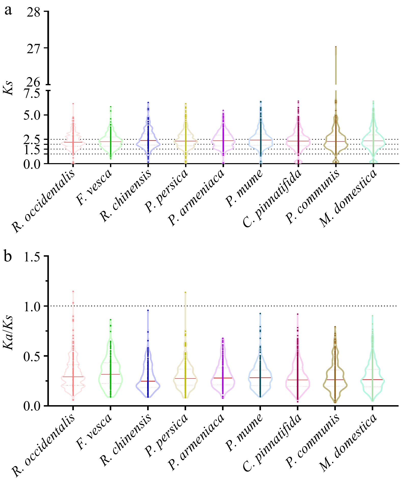Genome-Wide Identification and Characterization of the Lateral Organ ...