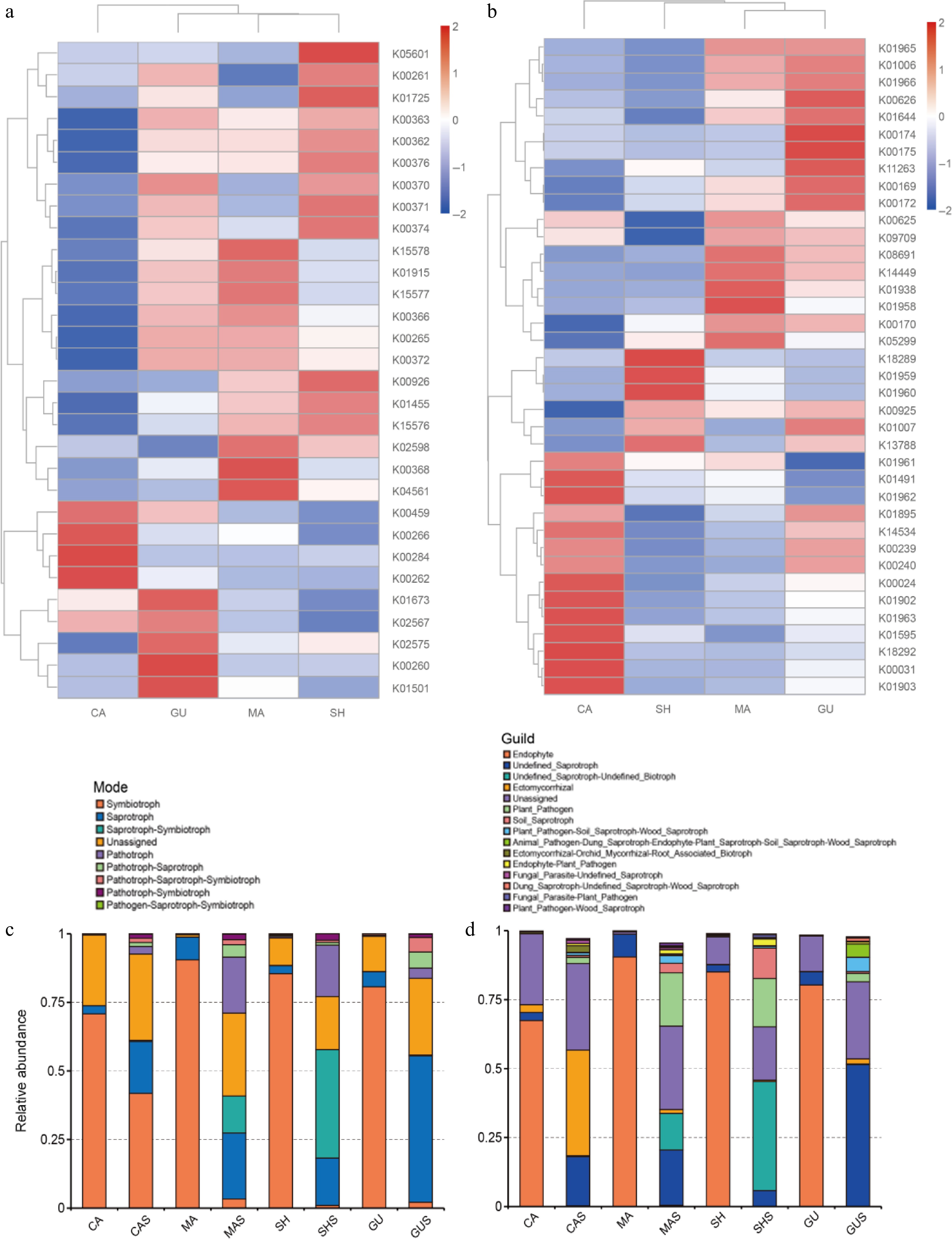 Microbial Community Structure and Diversity of Endophytic and ...