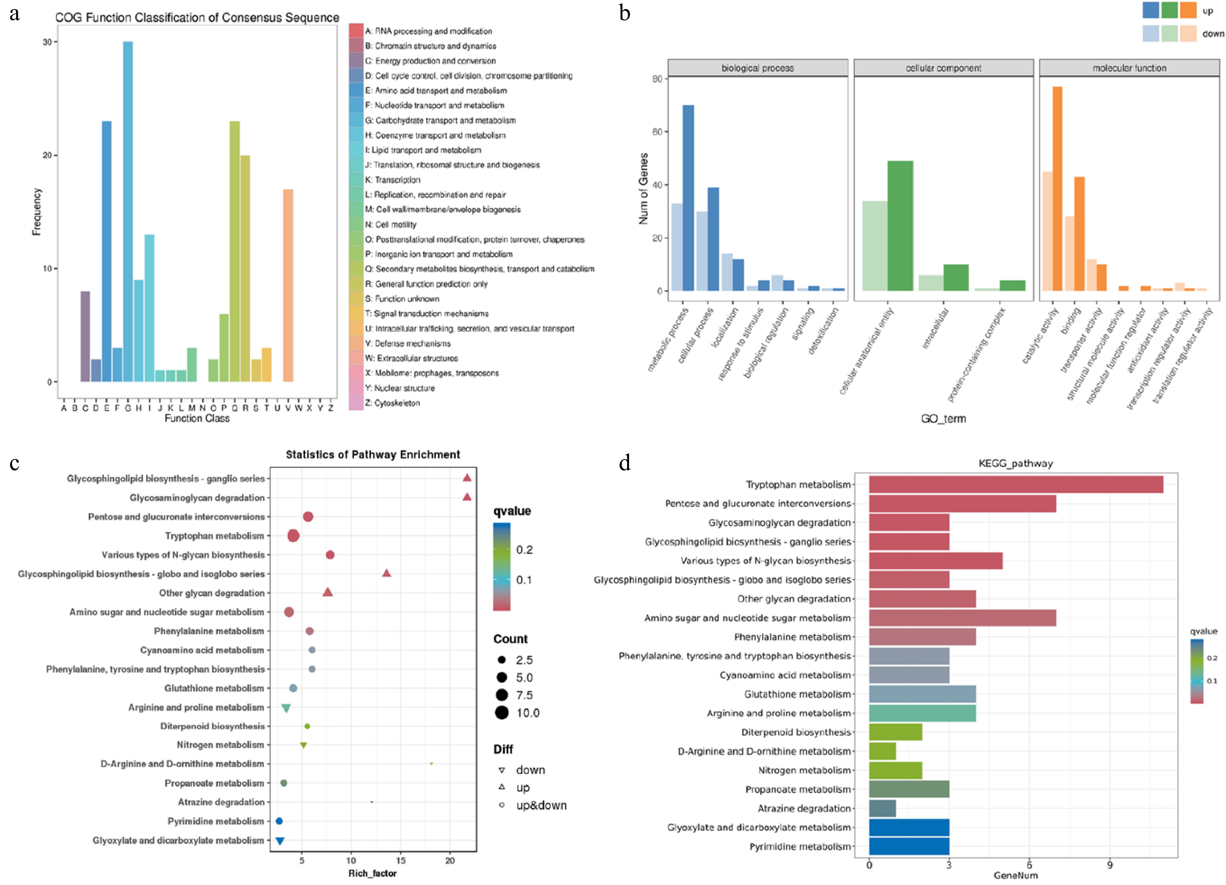 Transcriptome analysis at different times reveals candidate genes of ...