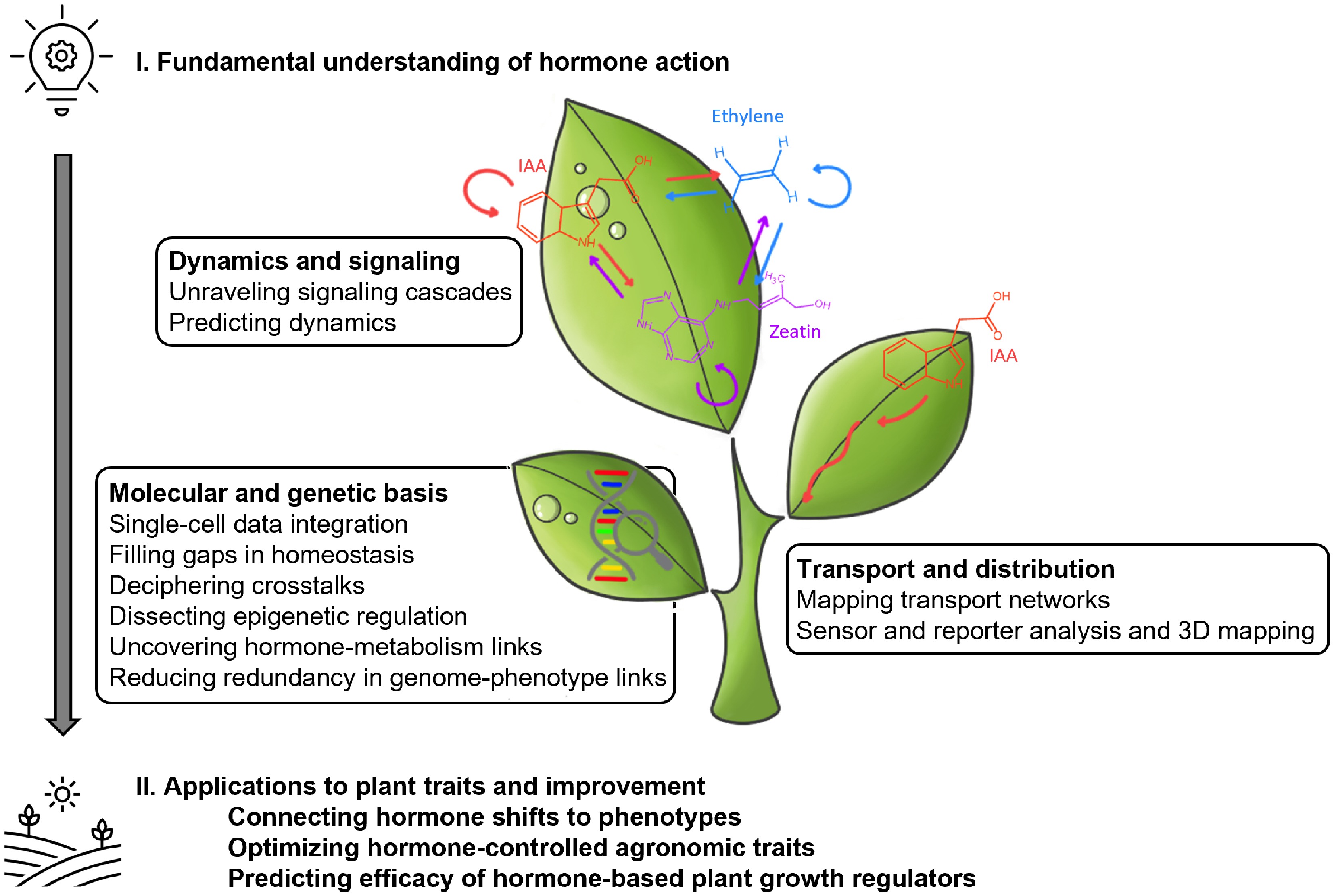 When AI meets hormones opportunities and challenges of AI for ...