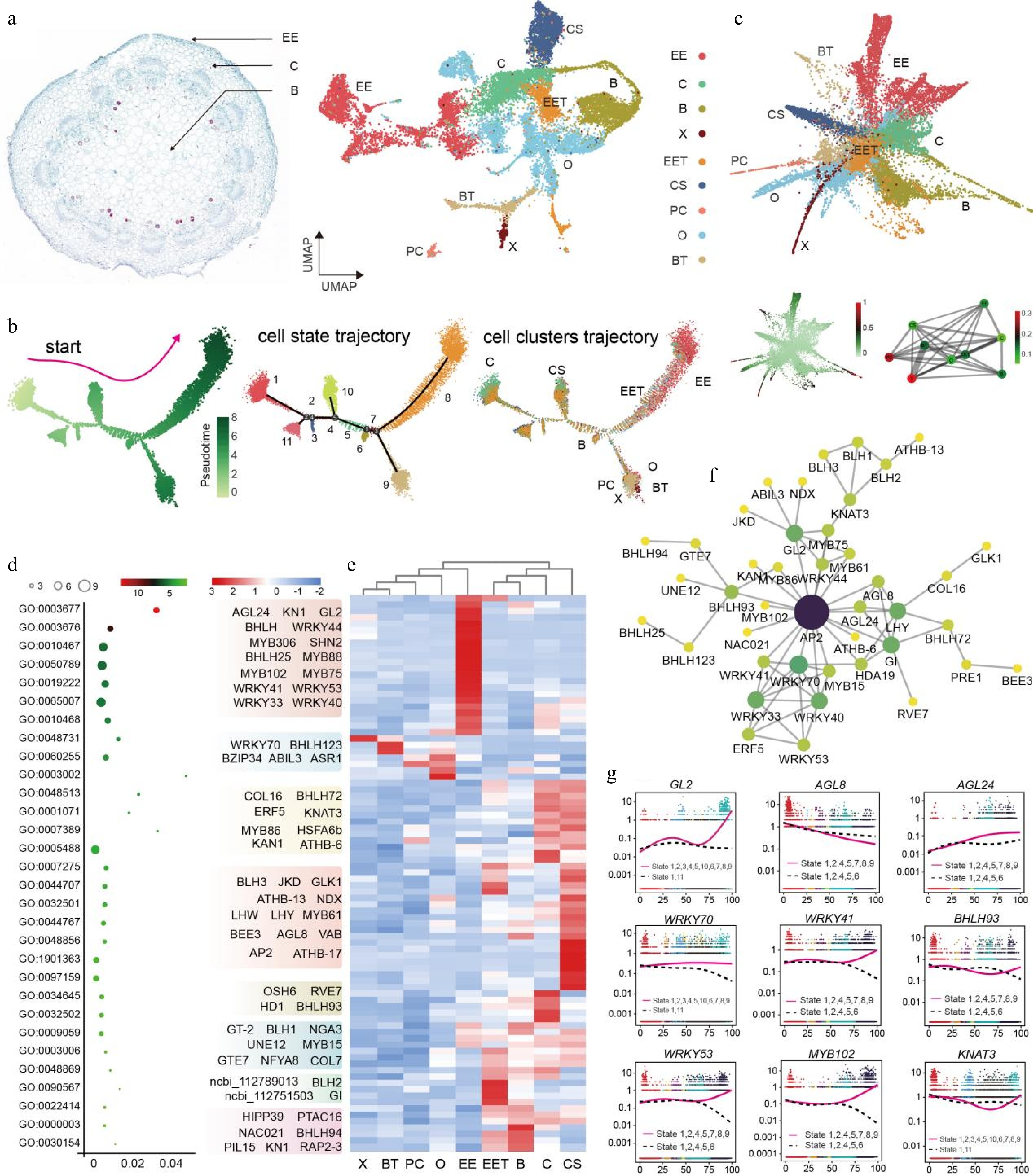 Single-cell resolution transcriptional atlases of aerial and ...