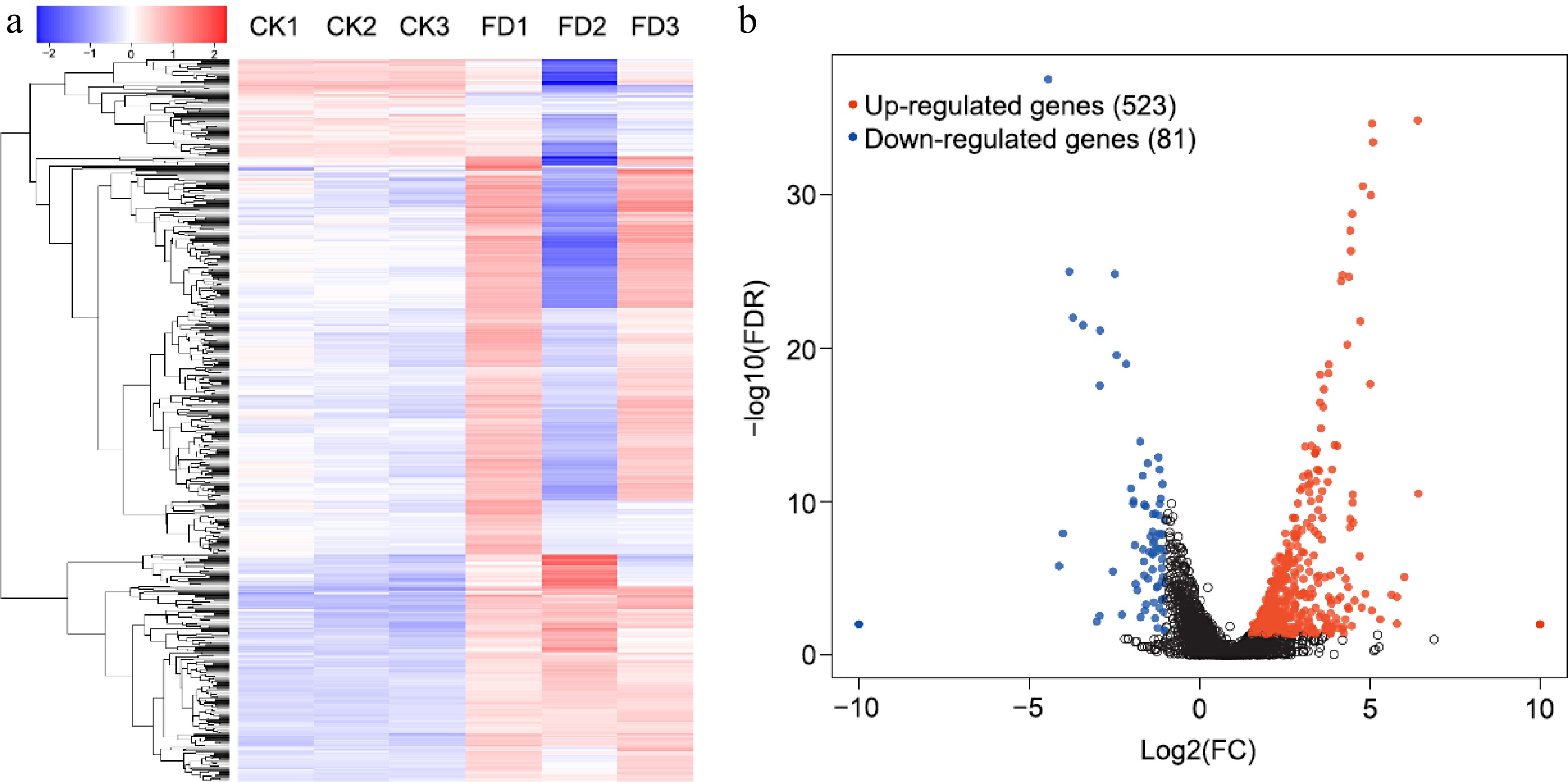 Characterization of the rhizosphere potassium-solubilizing Cupriavidus ...