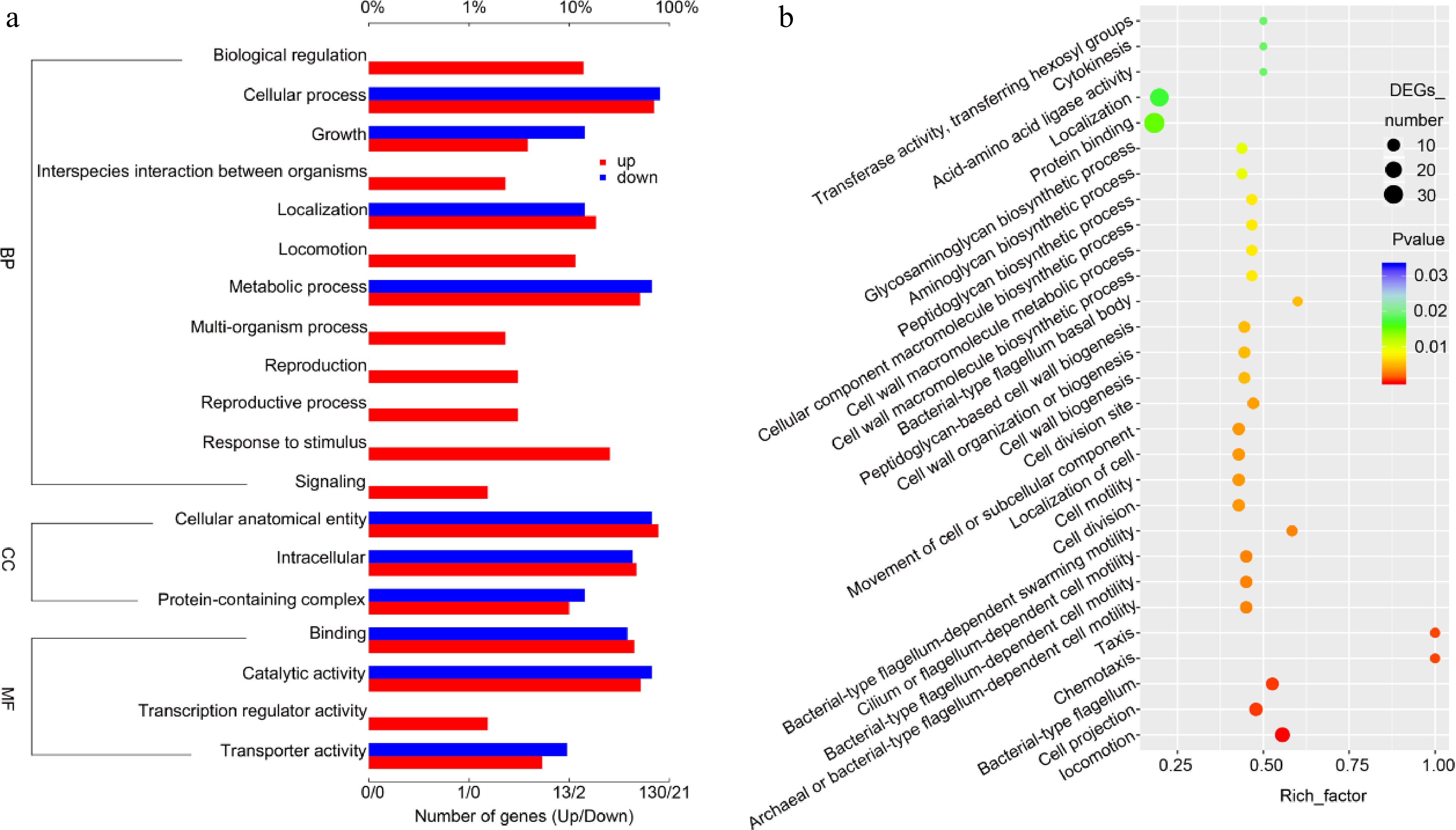 Characterization of the rhizosphere potassium-solubilizing Cupriavidus ...