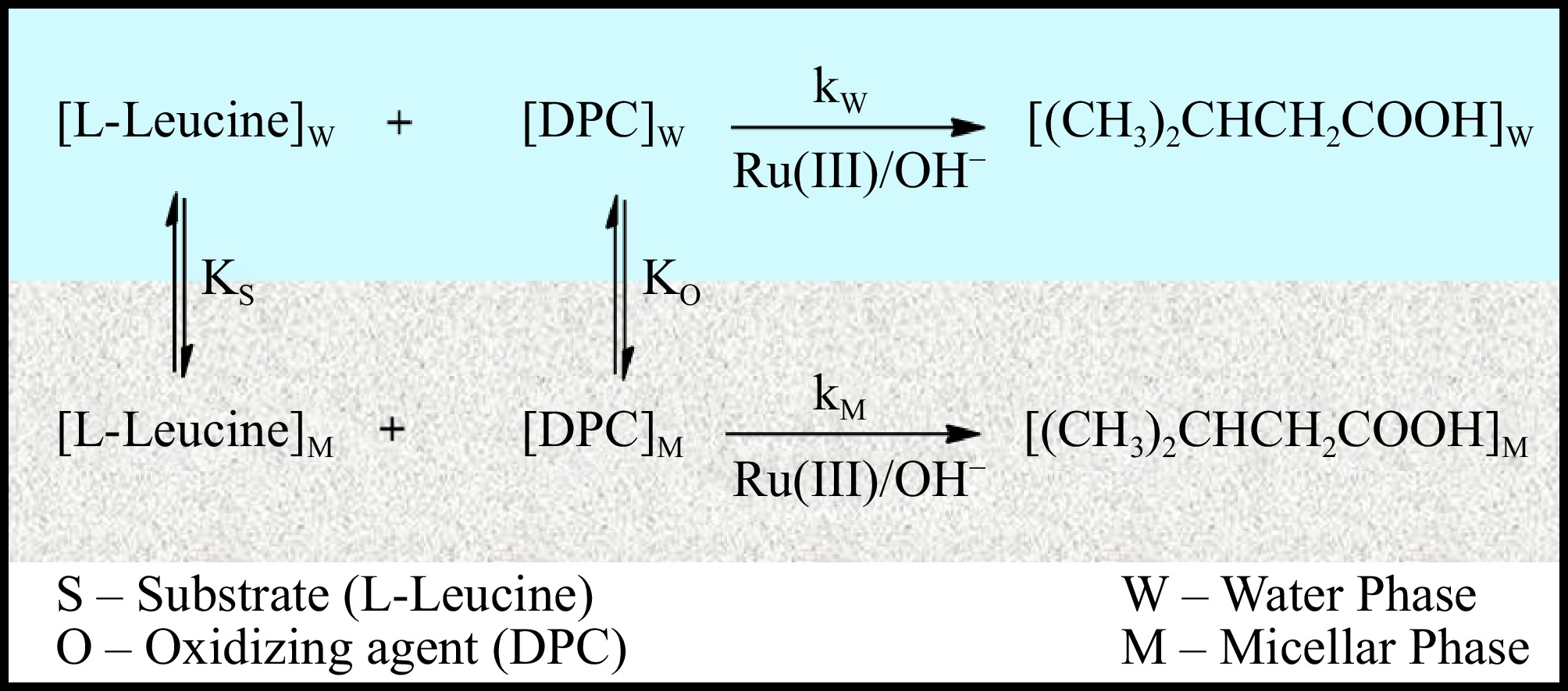 Rate enhancement of the Ru(III) facilitated oxidation of L-leucine by ...