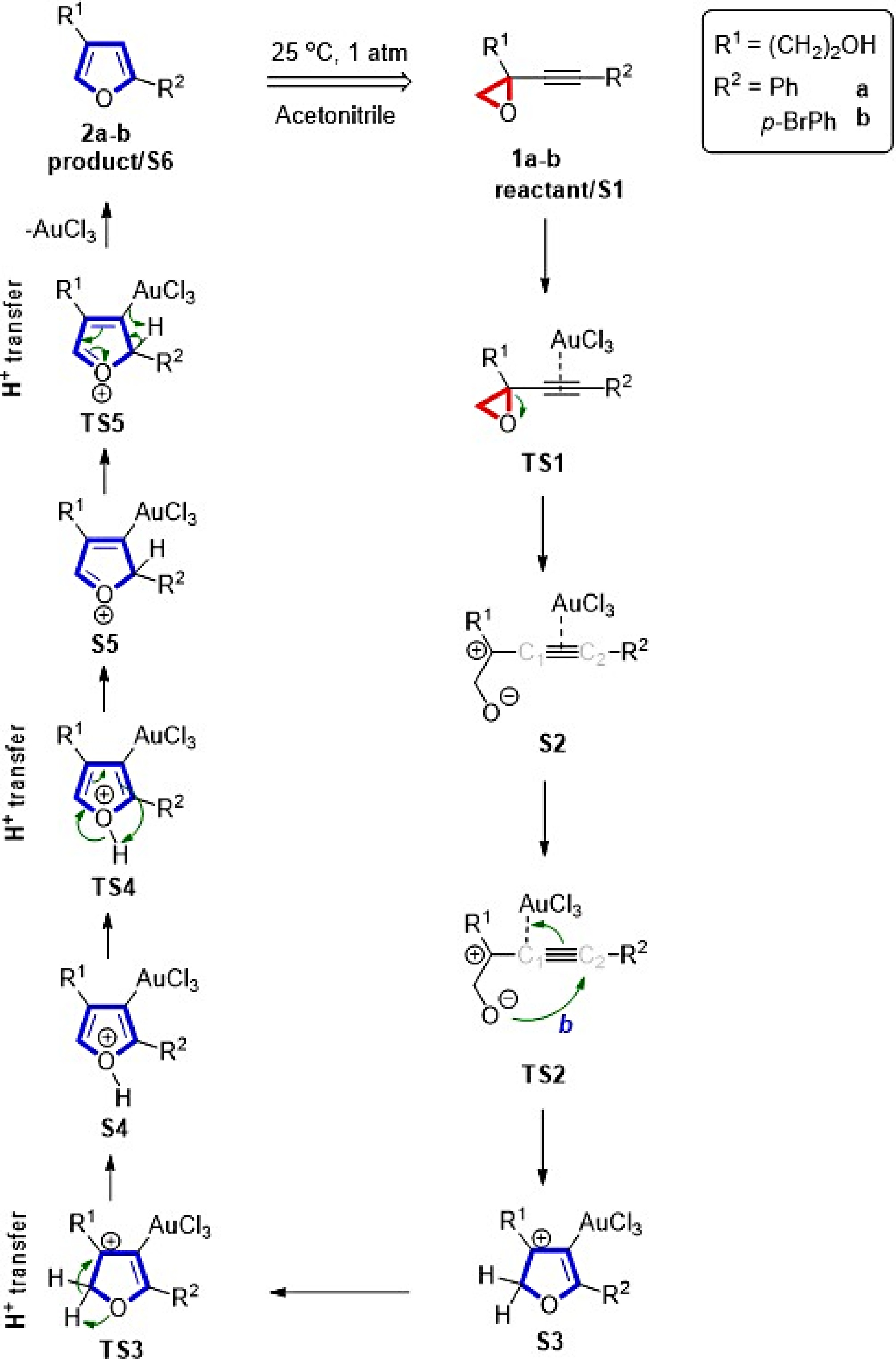 Computational analysis of the Au-catalyzed isomerization of alkynyl ...