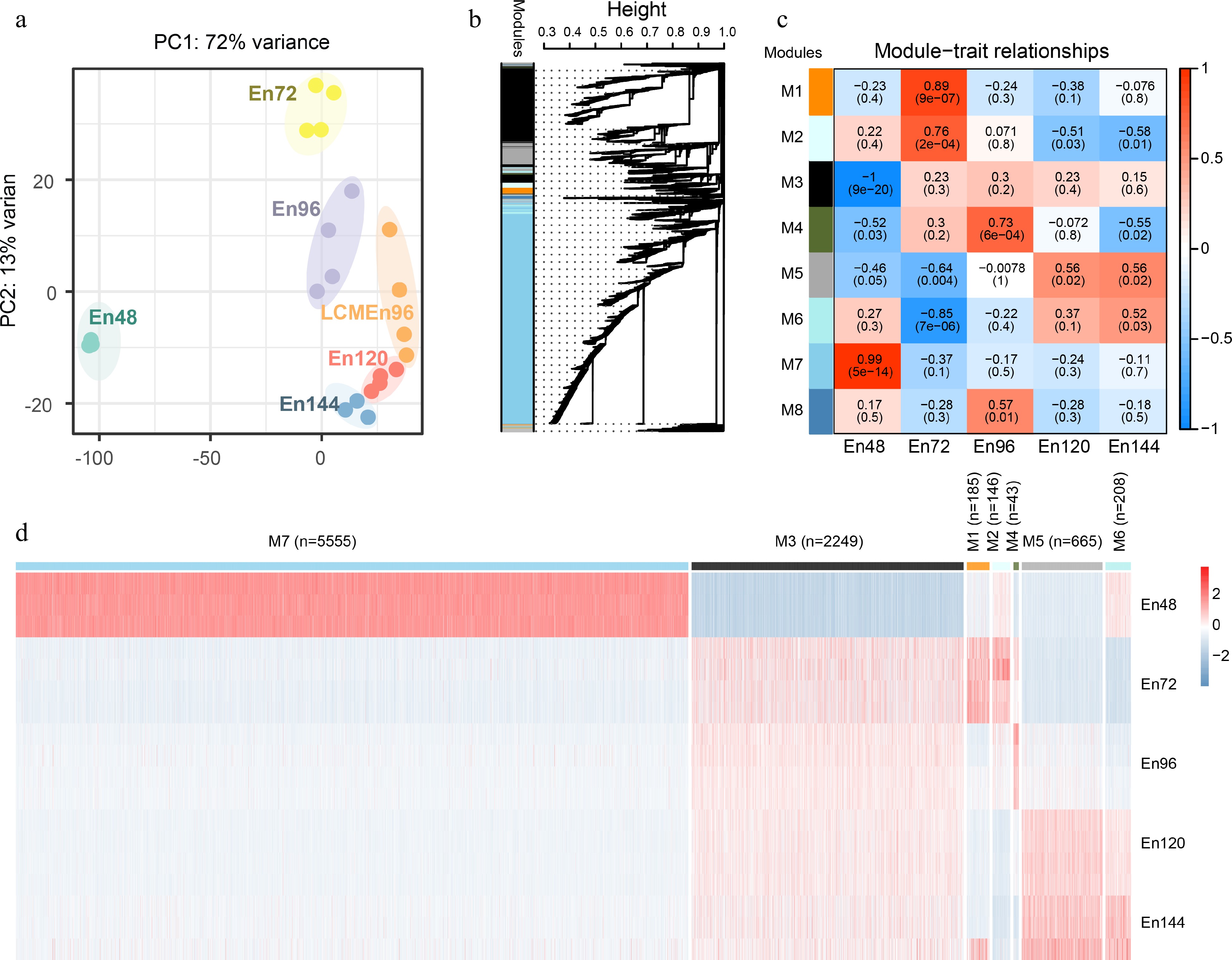 RNA sequencing of cleanly isolated early endosperms reveals coenocyte ...
