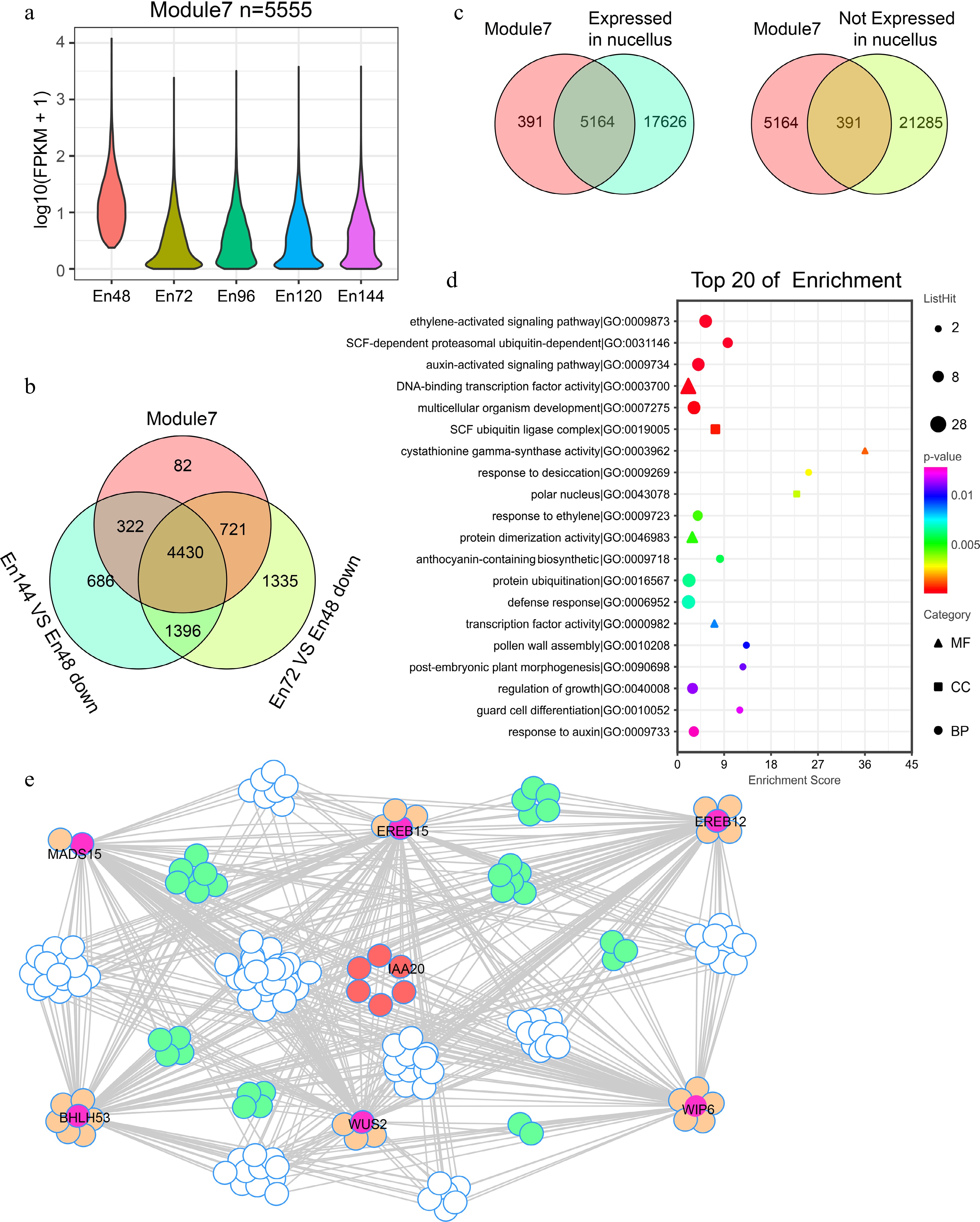 RNA sequencing of cleanly isolated early endosperms reveals coenocyte ...