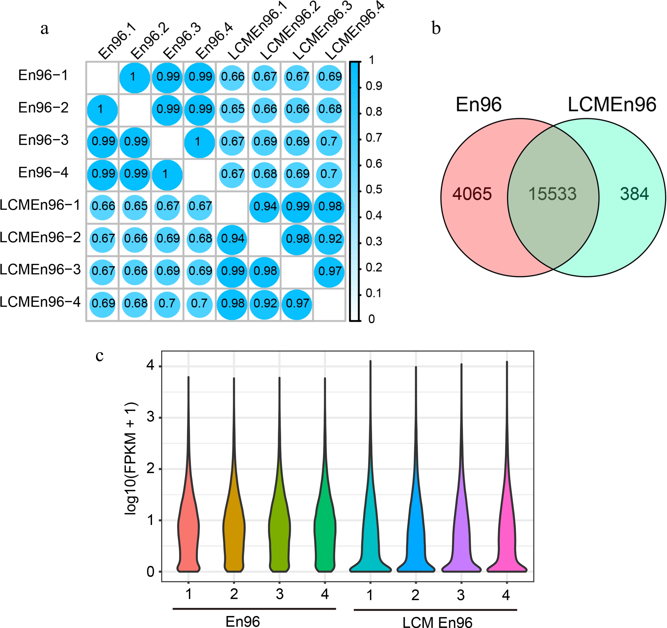 RNA sequencing of cleanly isolated early endosperms reveals coenocyte ...