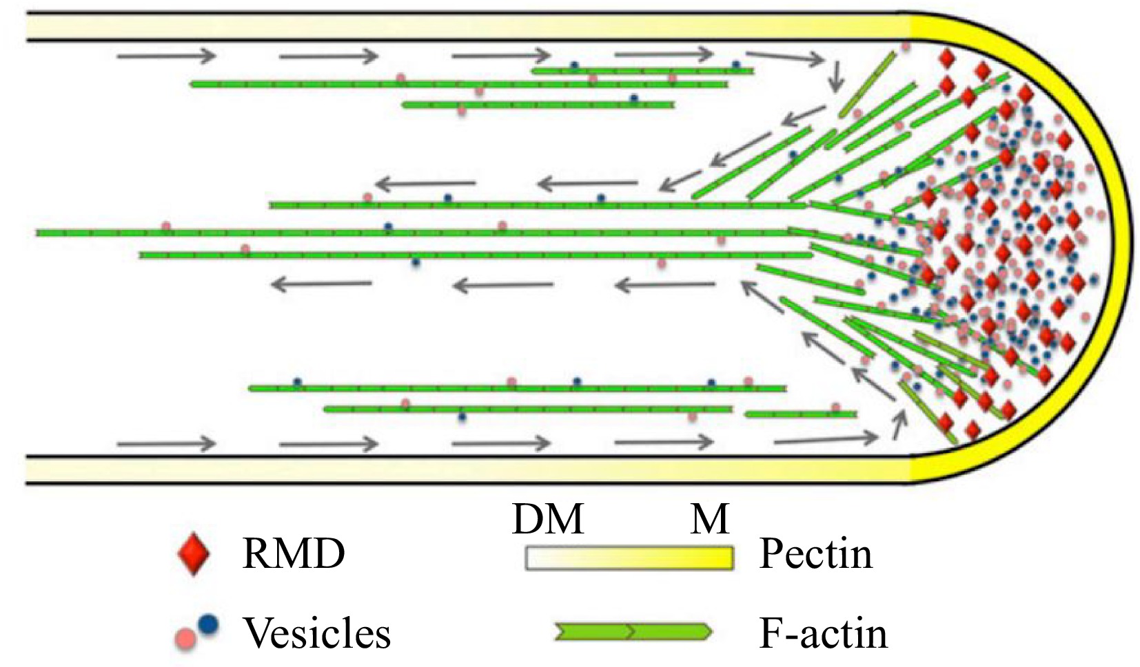 Dabing Zhang (July 5, 1967–June 22, 2023)