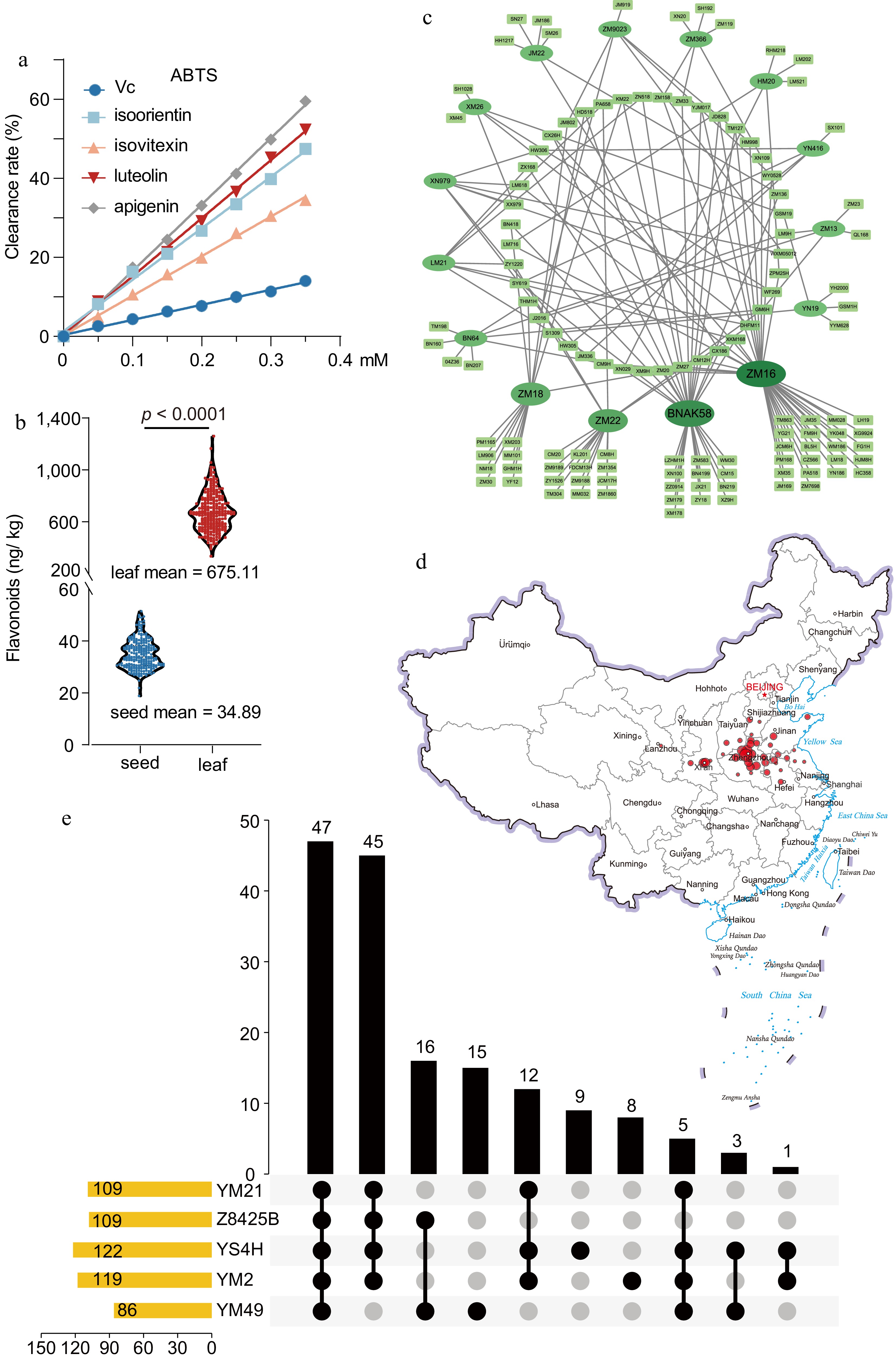 Enhancing the antioxidant potential of wheatgrass to improve nutrient value