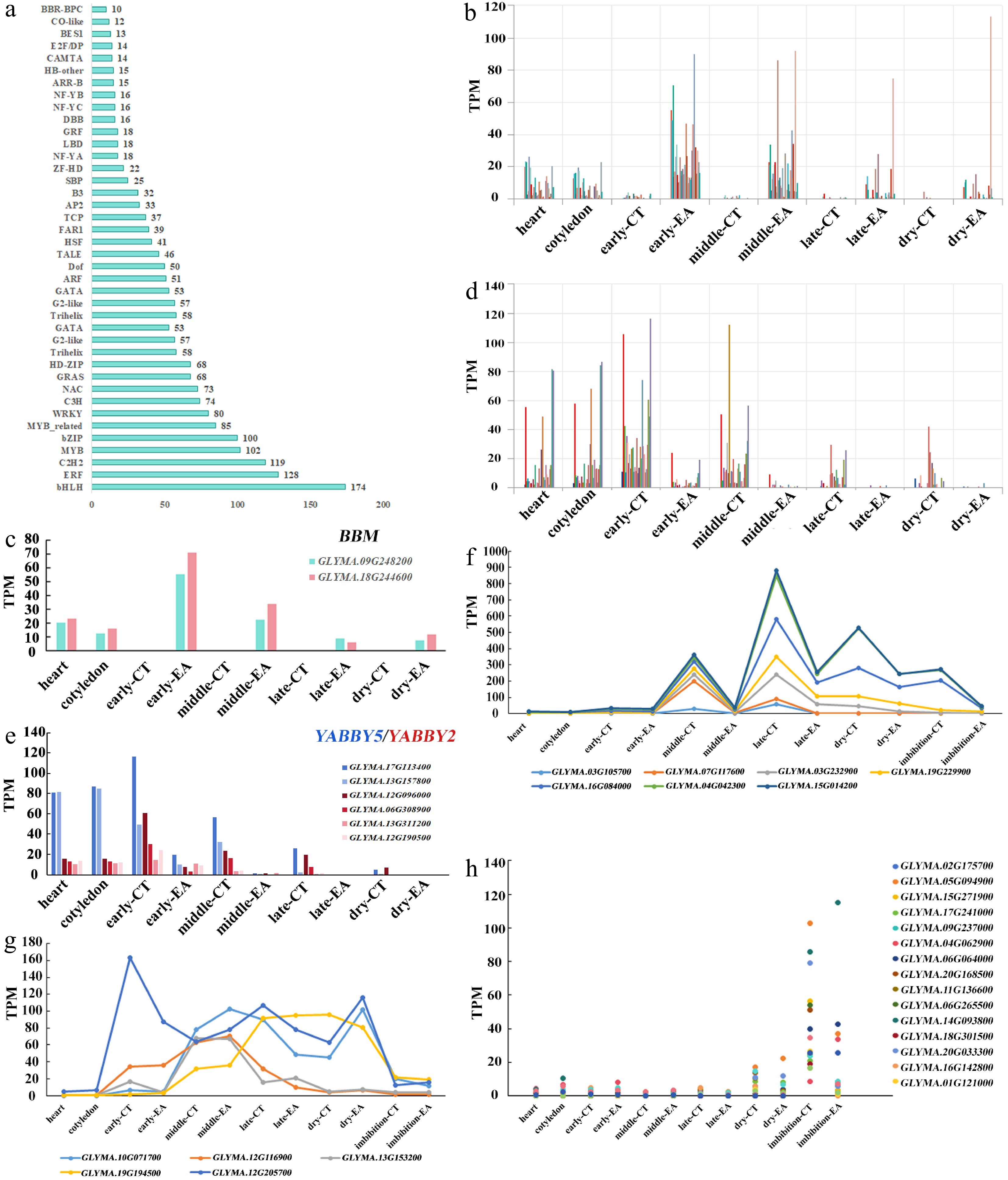 Transcriptional atlas for embryo development in soybean