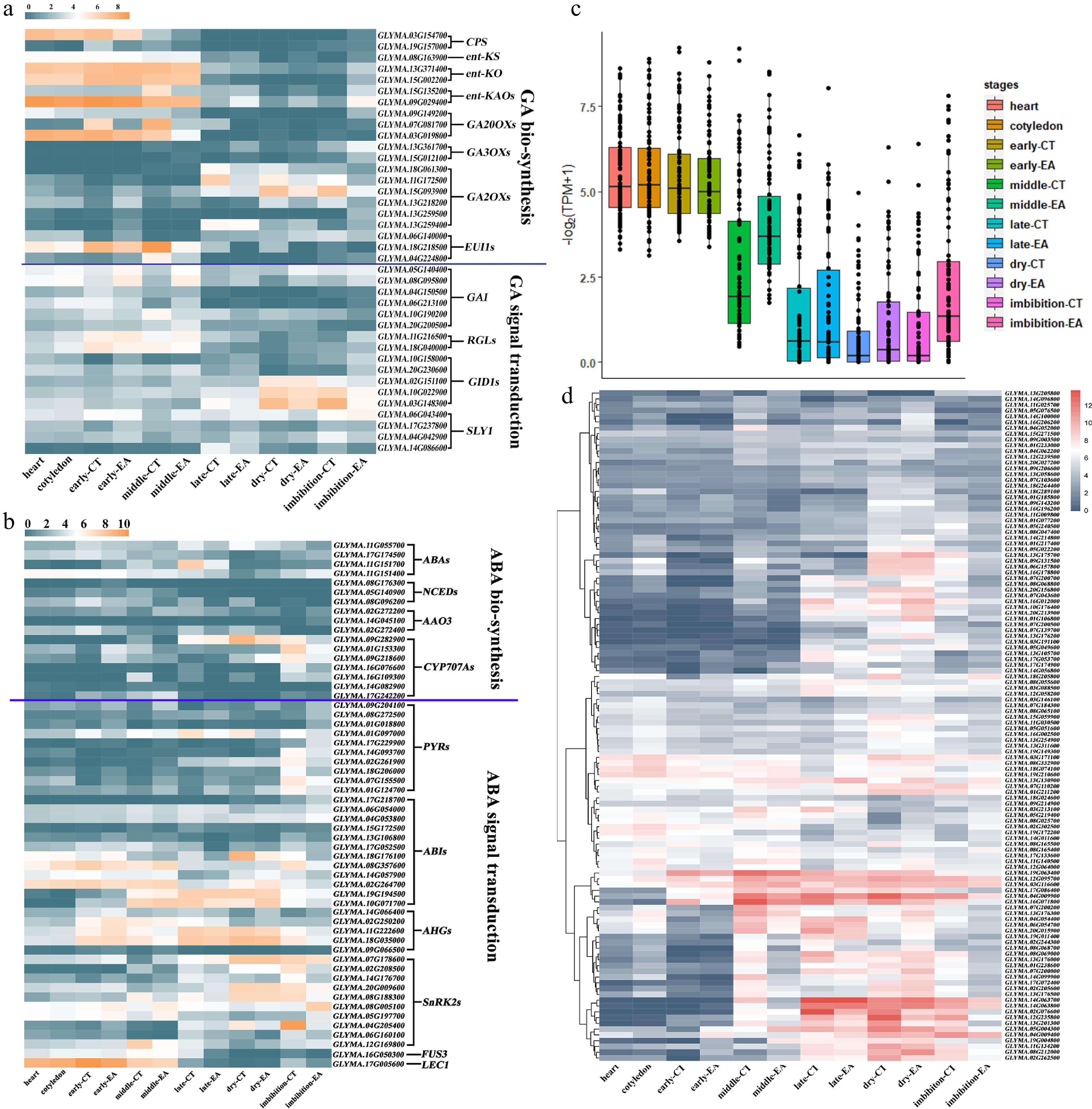 Transcriptional atlas for embryo development in soybean