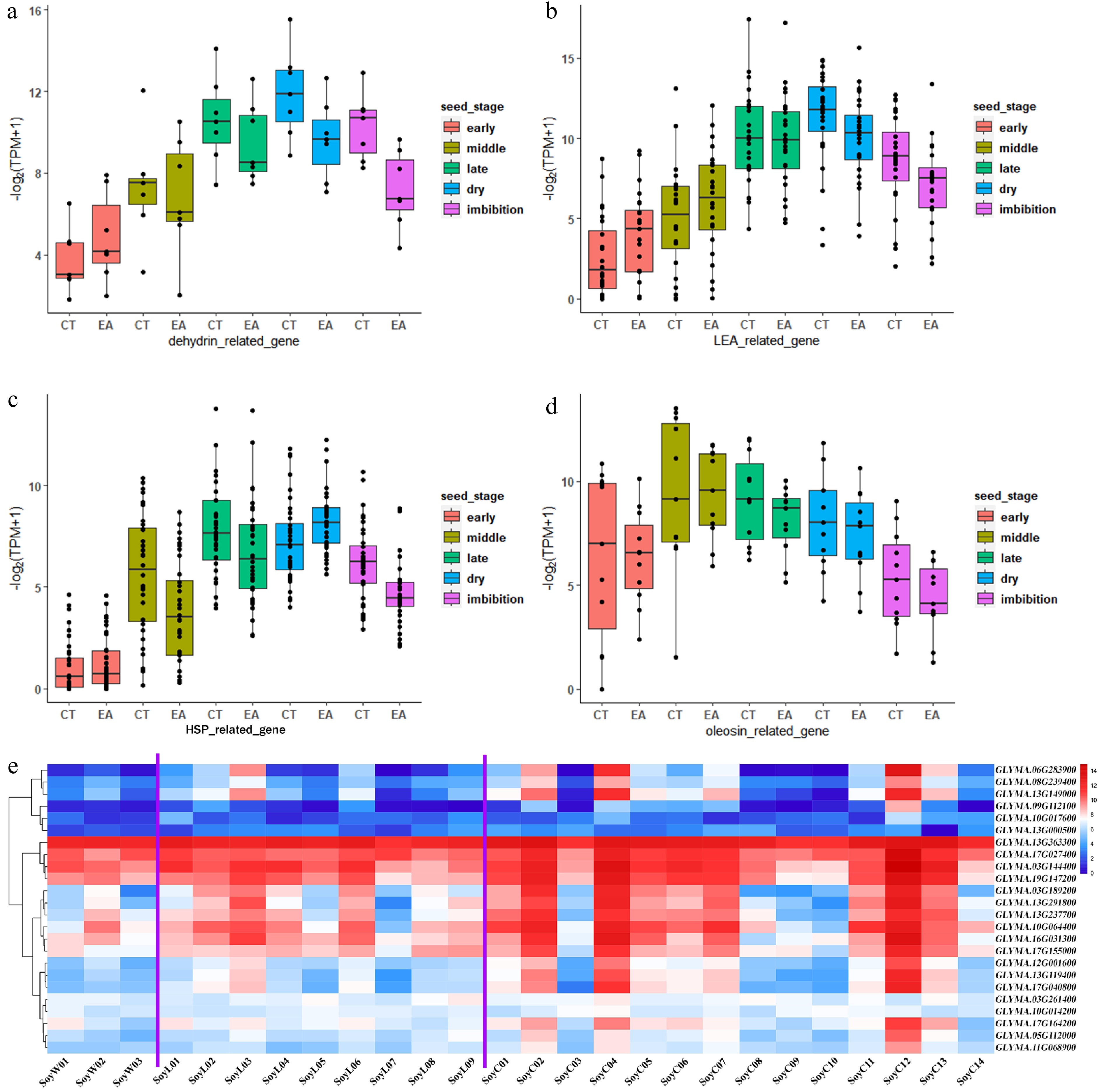 Transcriptional atlas for embryo development in soybean