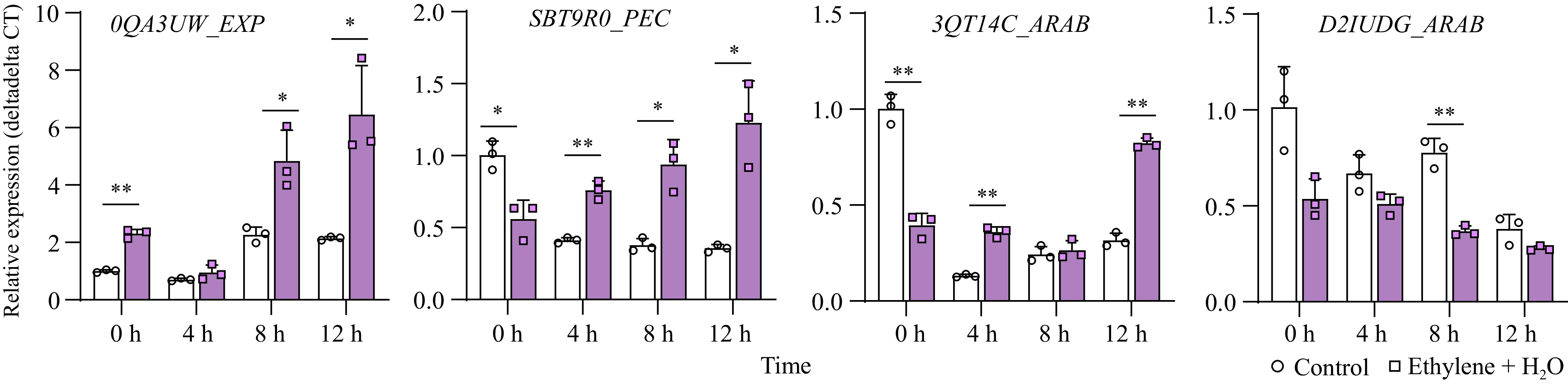 Ethylene enhances peanut seed germination by modulating hormonal and ...