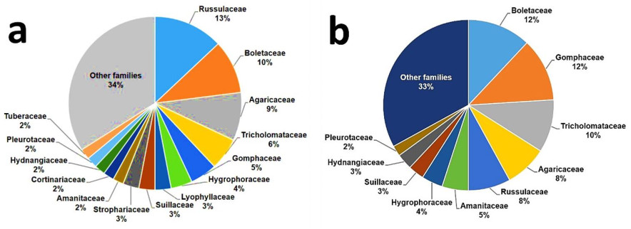 Global perspectives on the ecological, cultural and socioeconomic ...