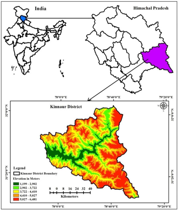 Ectomycorrhizal fungi associated with Pinus gerardiana in Kinnaur ...
