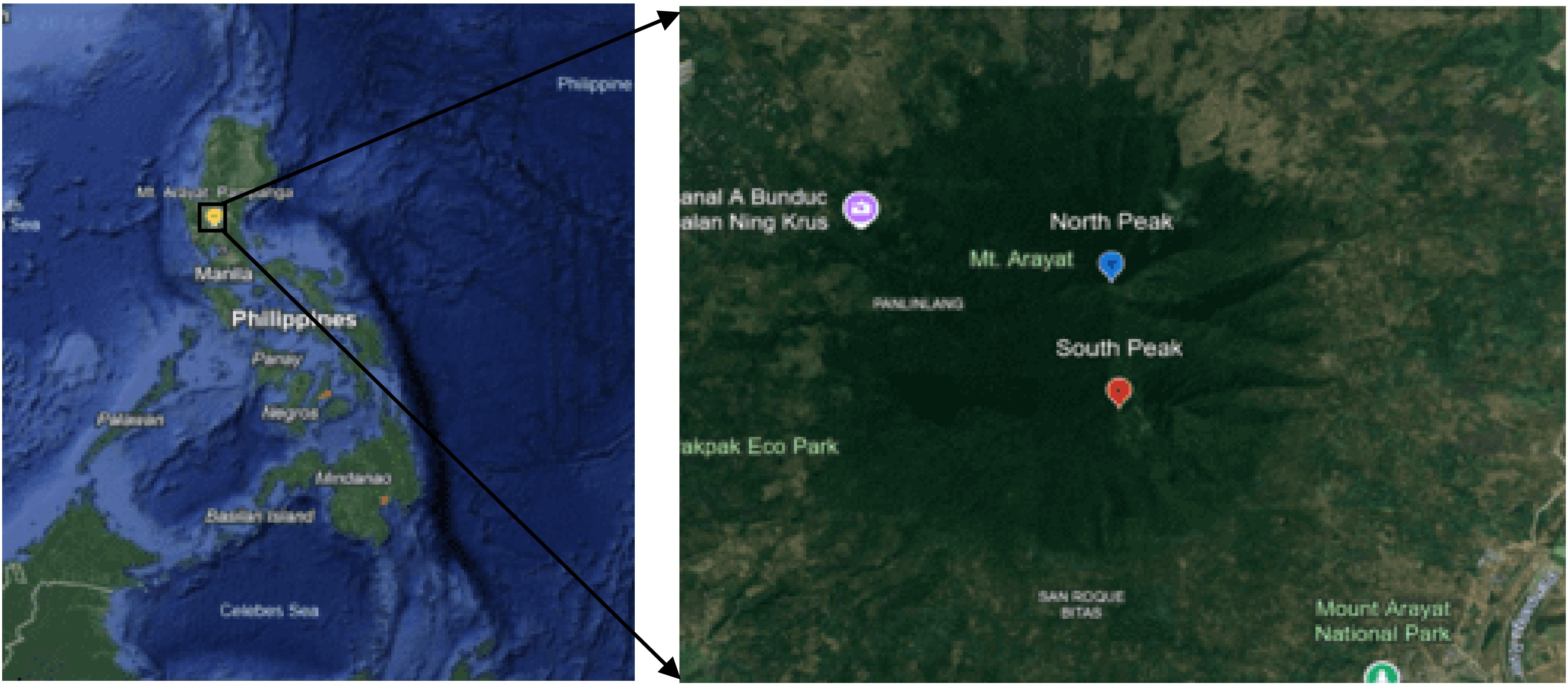 Diversity of macrofungi along elevation gradients in Mt. Arayat ...