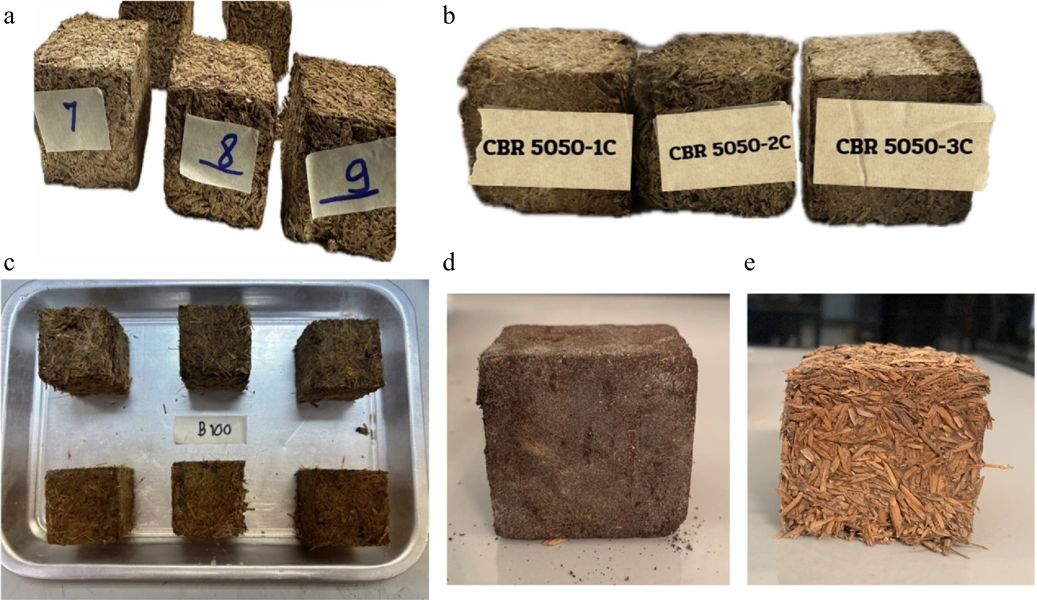 Assessing mycelium-based blocks utilizing Pleurotus ostreatus versus ...
