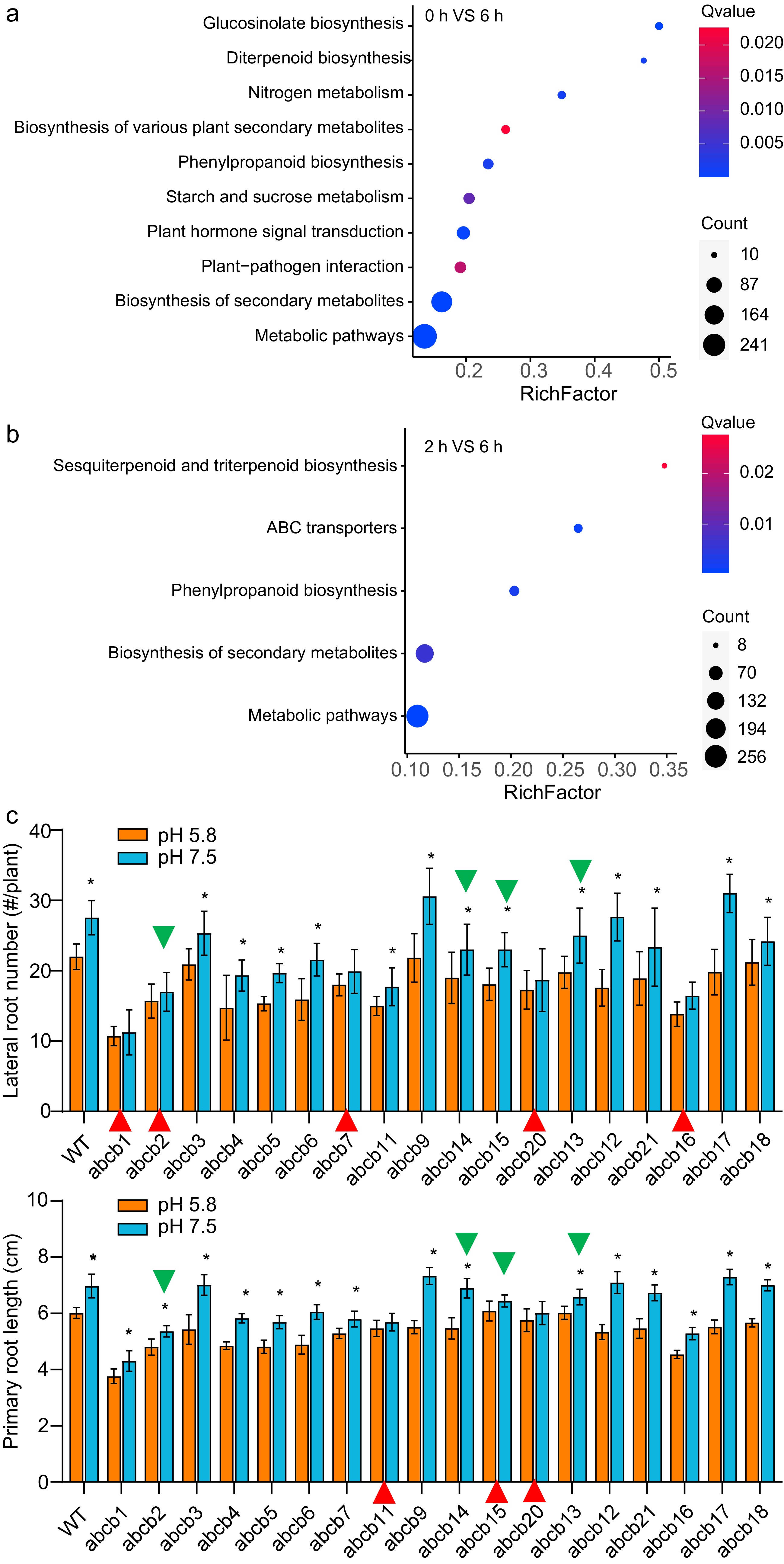 Promotion of root development by slightly alkaline pH involves an auxin ...