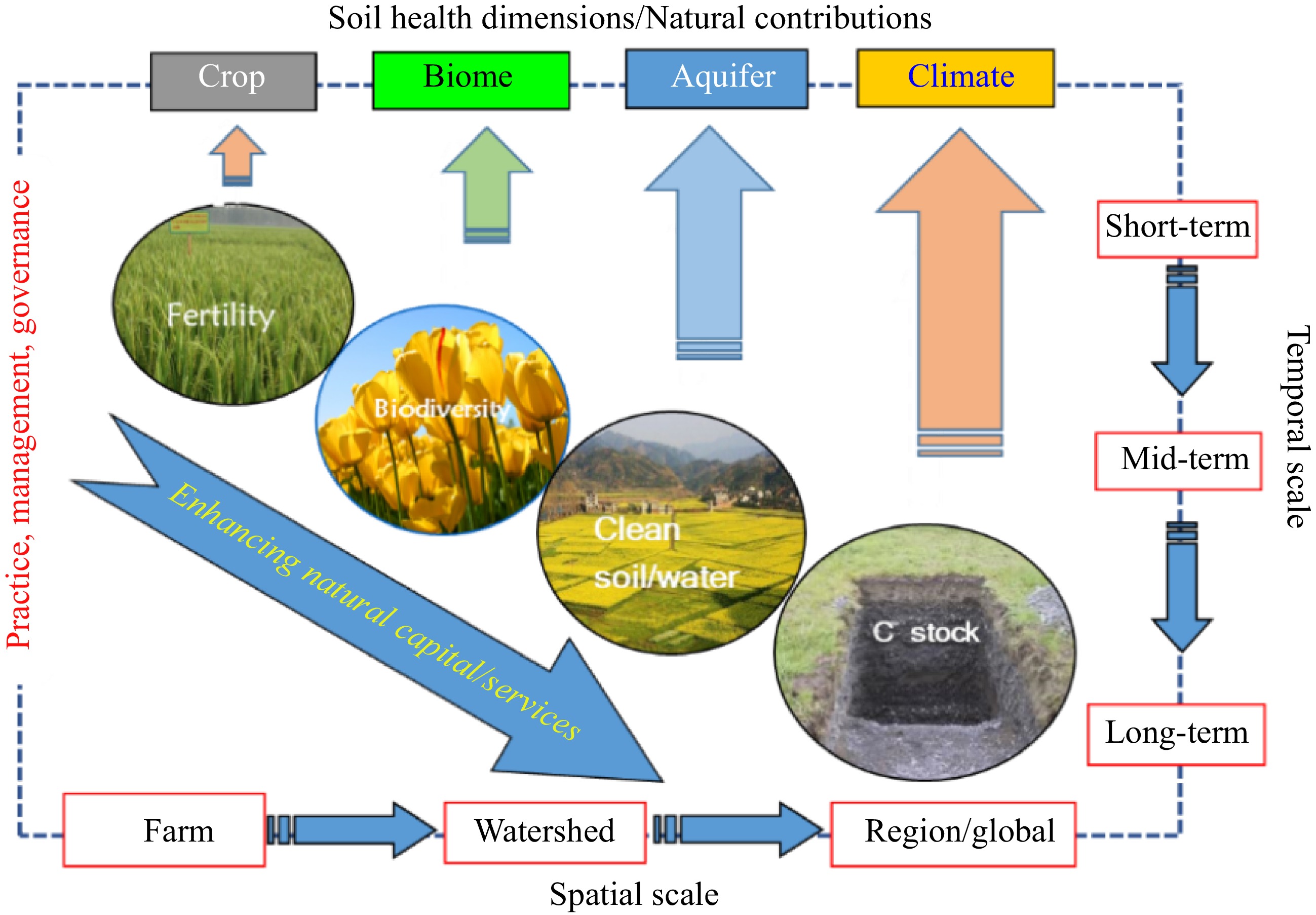 Understanding and enhancing soil conservation of water and life
