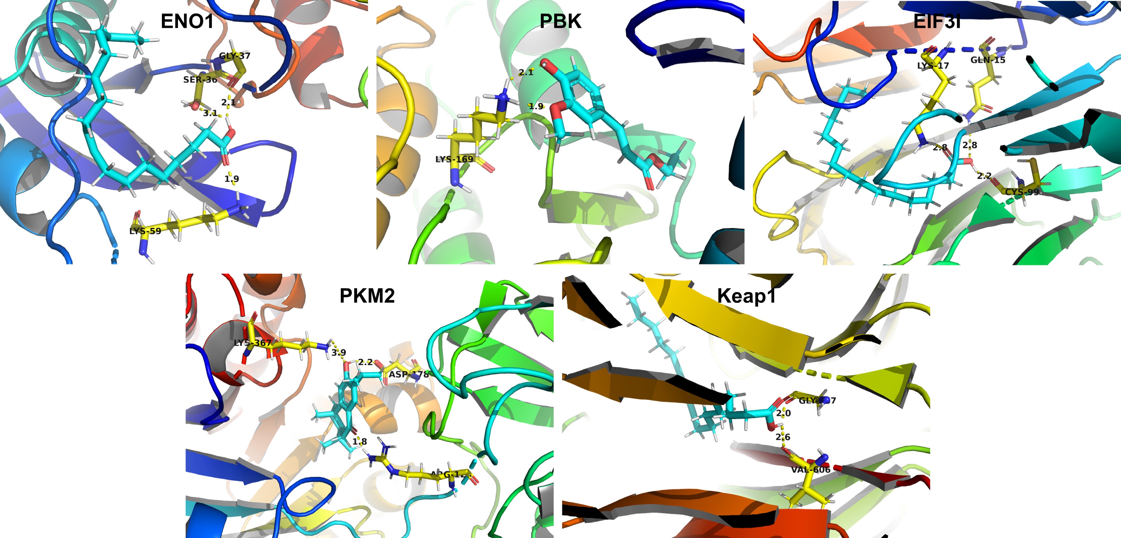Xuebijing injection ameliorates LPS-mediated acute lung injury via ...